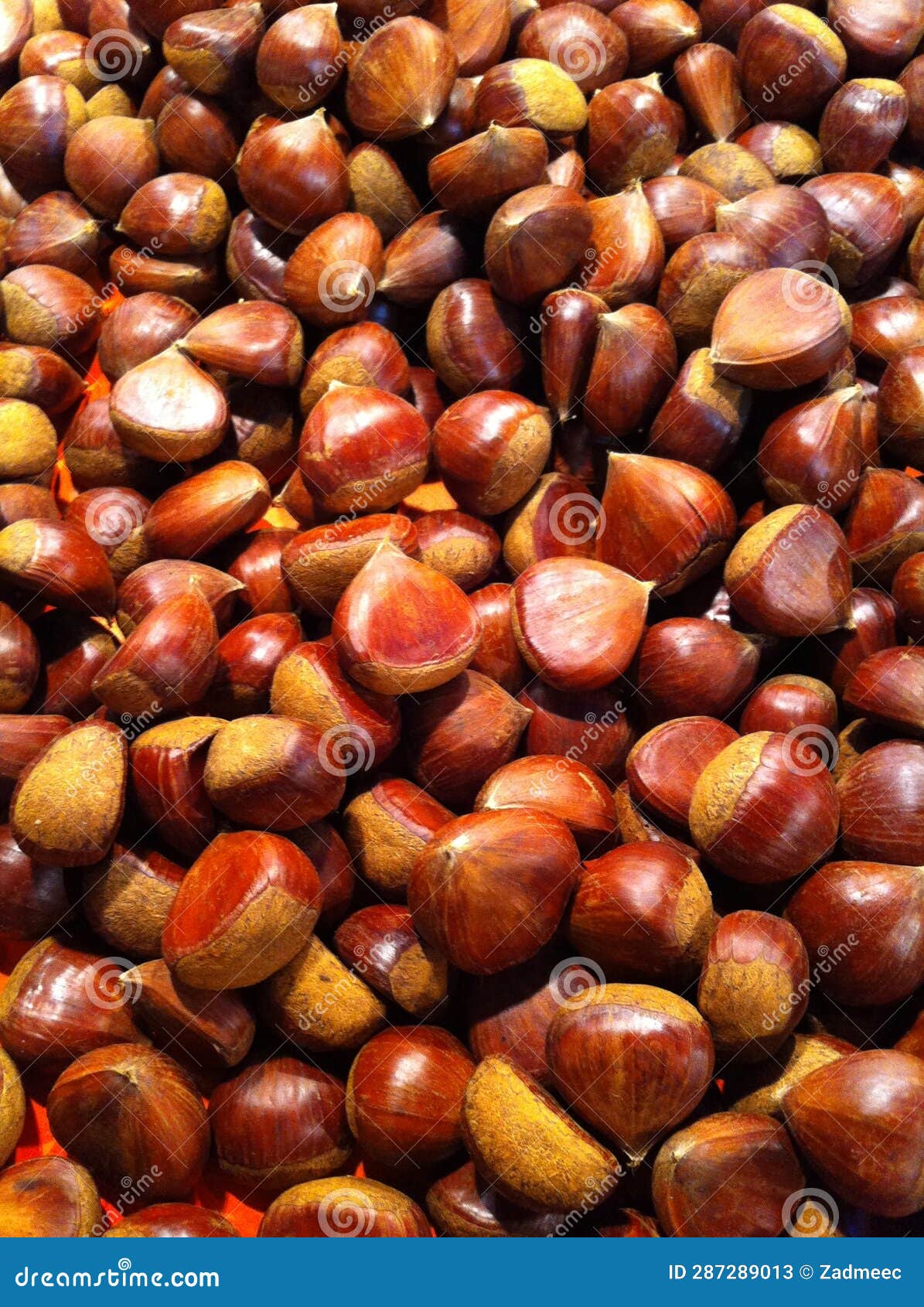 Chestnuts stock image. Image of crop, tree, fruit, snack - 287289013