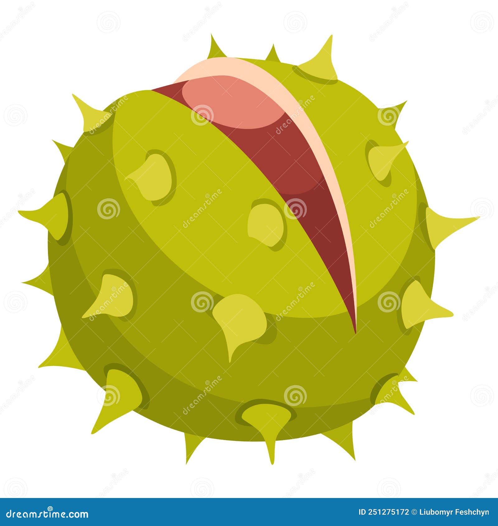 Chestnuts In Cracked Shell With Prickles And Pointed Oblong Leaves ...