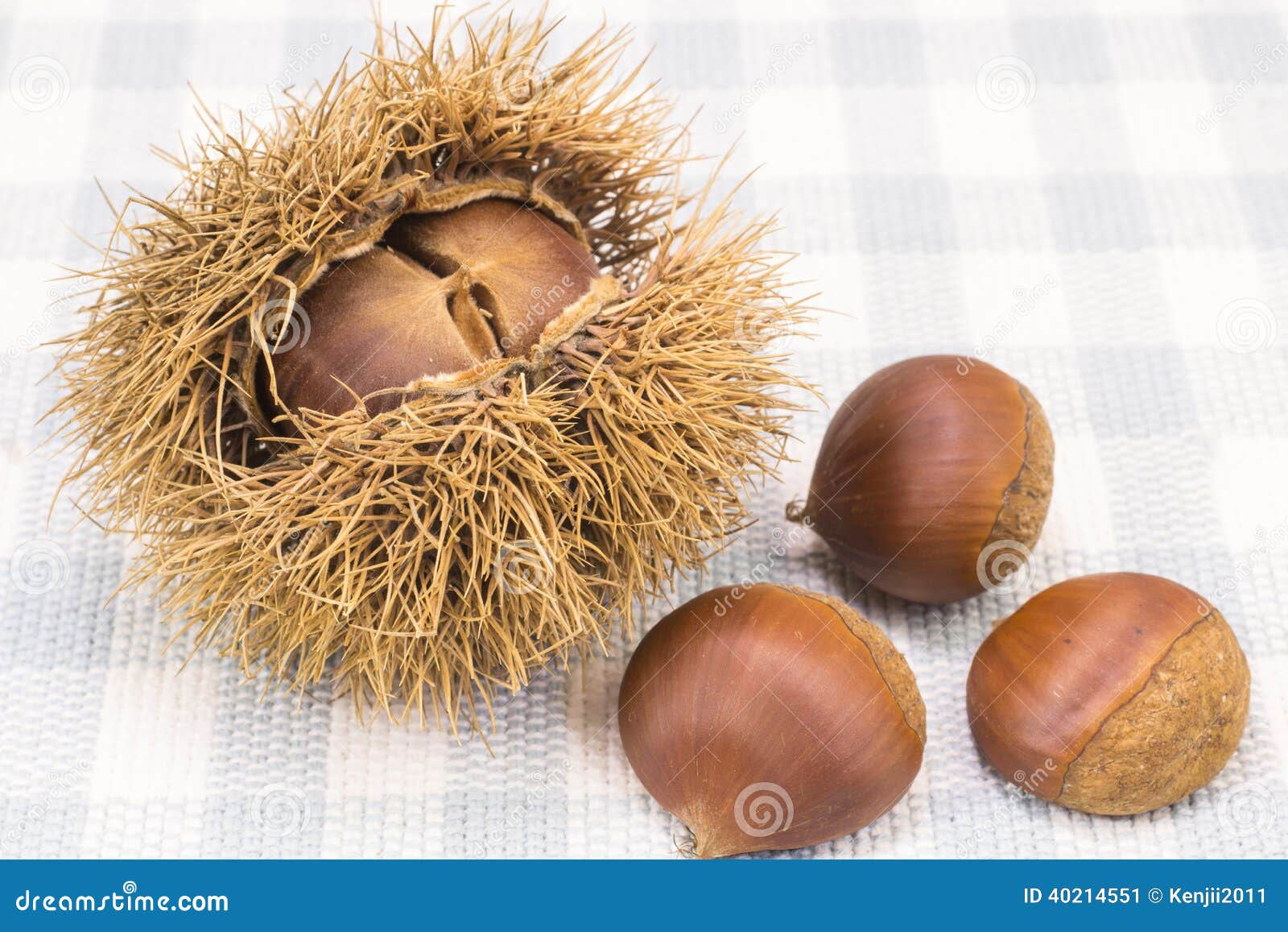 Chestnuts in the fall stock image. Image of objects, harvest - 40214551