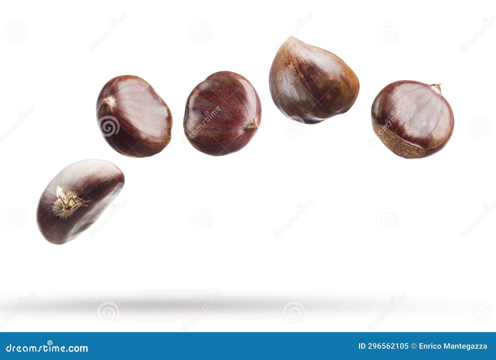 Chestnuts stock image. Image of falling, snack, ingredient - 296562105