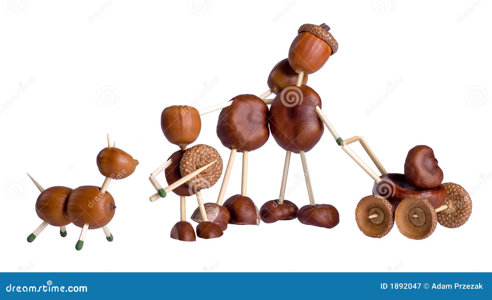 Chestnuts family. stock image. Image of affection, faithfulness - 1892047