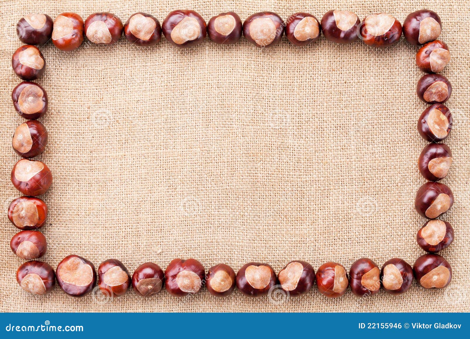 Chestnuts frame stock photo. Image of background, details - 22155946
