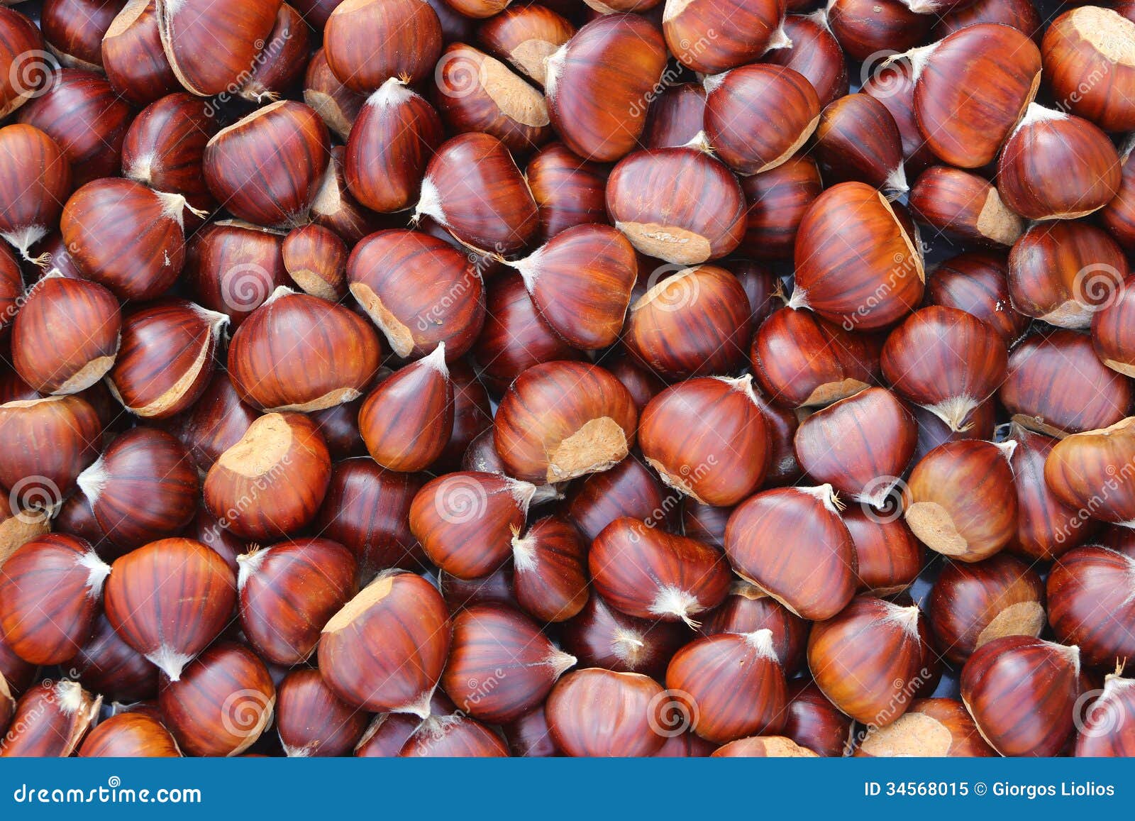 Chestnuts stock image. Image of organic, crop, background - 34568015
