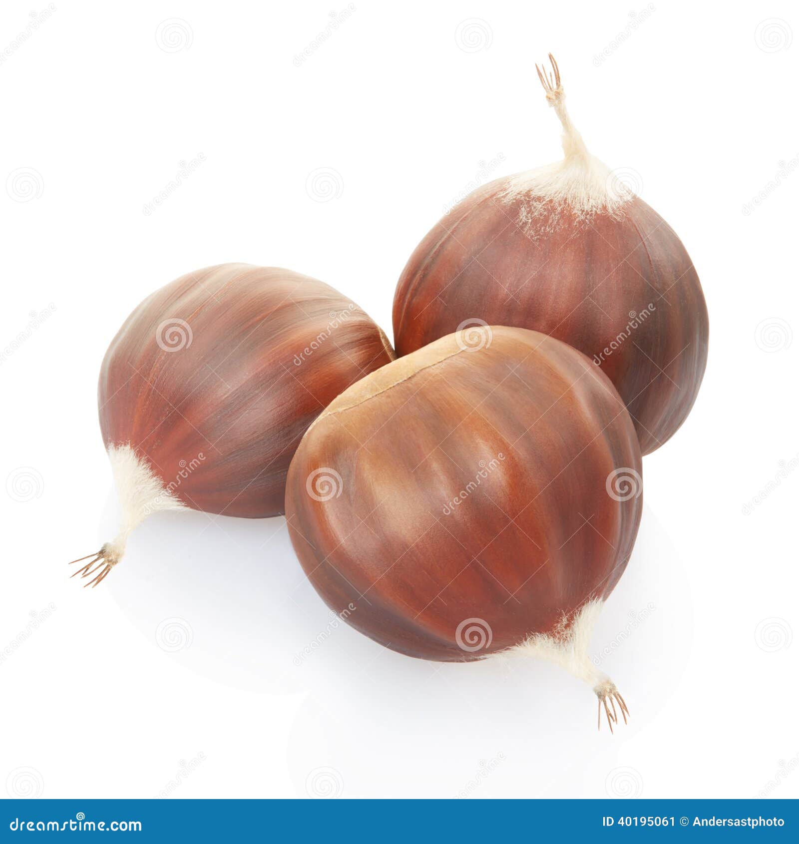 Chestnuts group stock image. Image of seasonal, nuts - 40195061