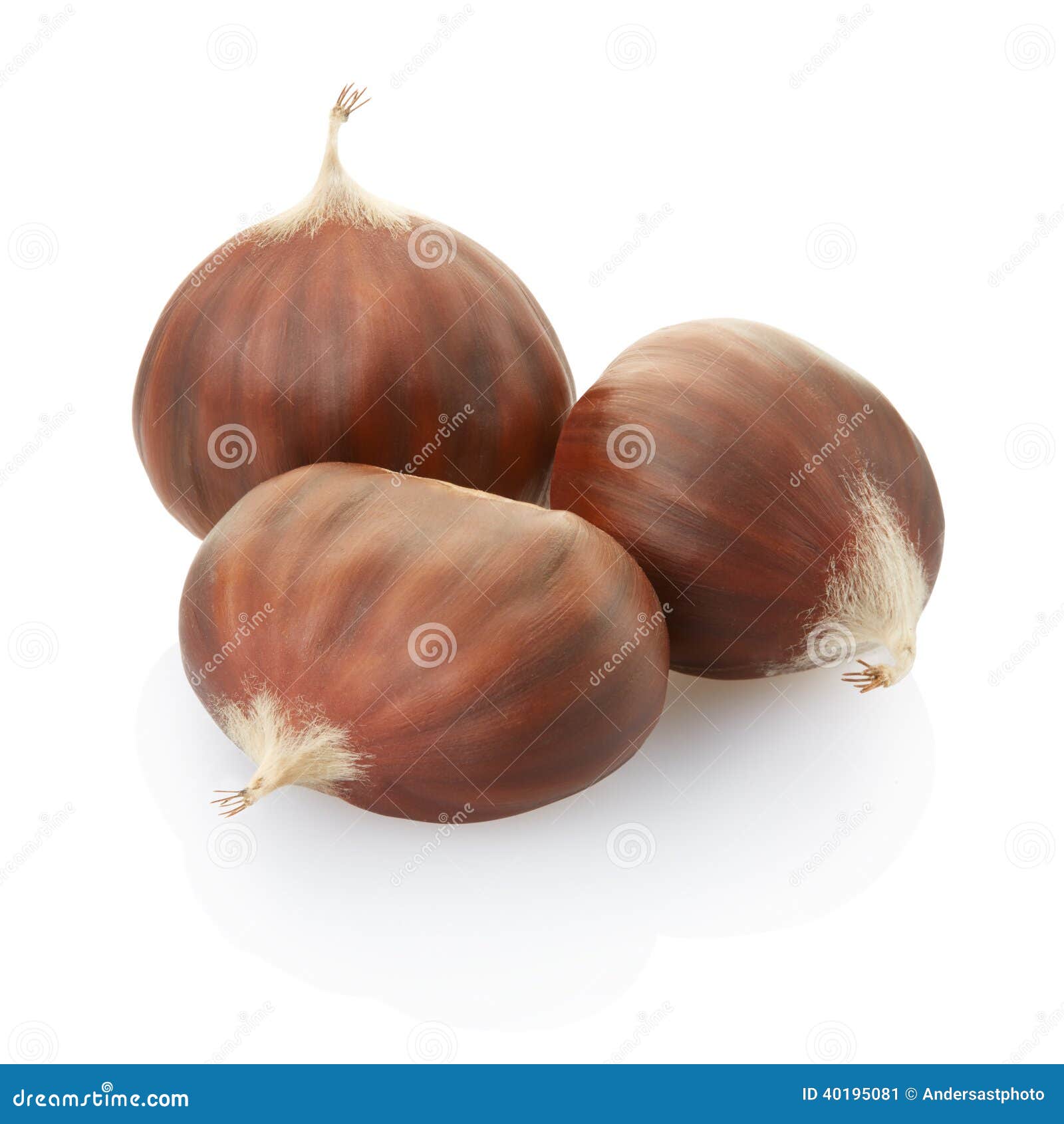 Chestnuts group stock image. Image of path, background - 40195081