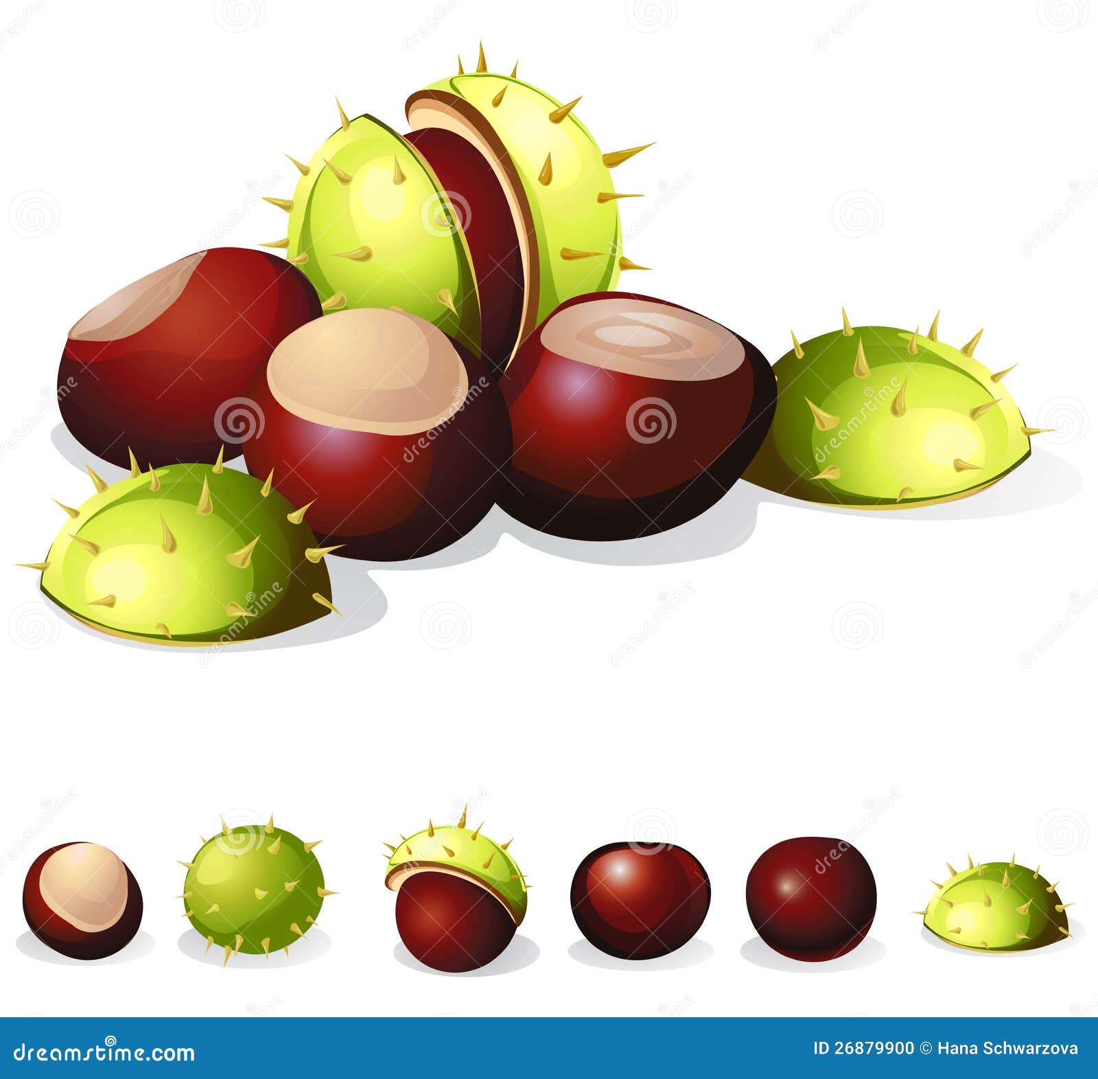 Chestnuts isolated stock vector. Illustration of auburn - 26879900