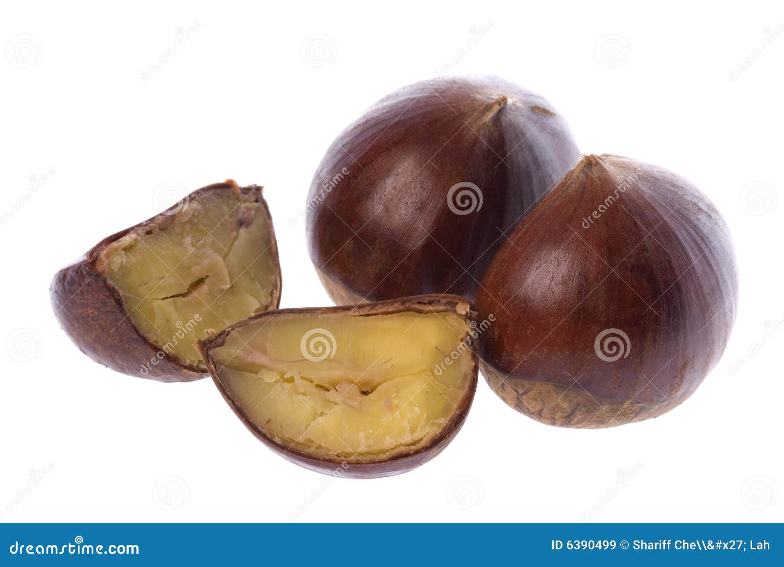 Chestnuts Isolated stock image. Image of nature, eating - 6390499