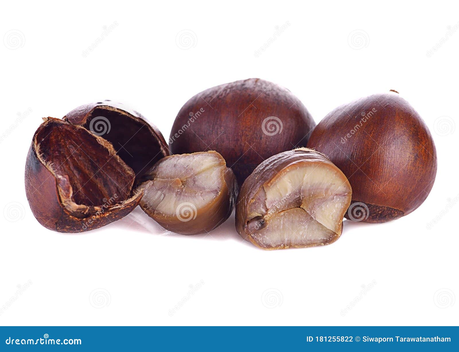 Chestnuts Isolated on White Background Stock Photo - Image of seasonal ...