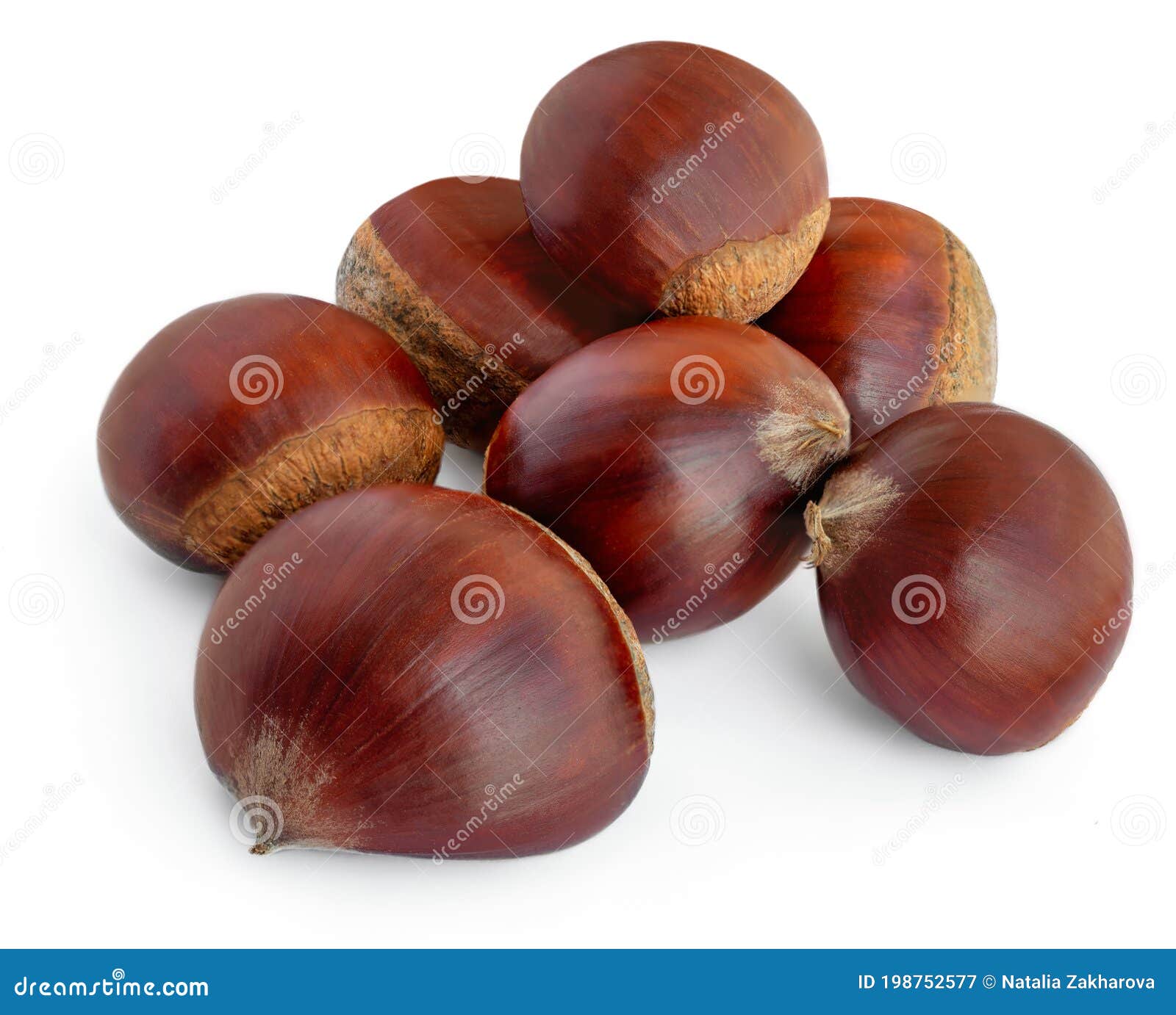 Chestnuts Isolated on White Background. Chestnut Top View. Flat Lay ...