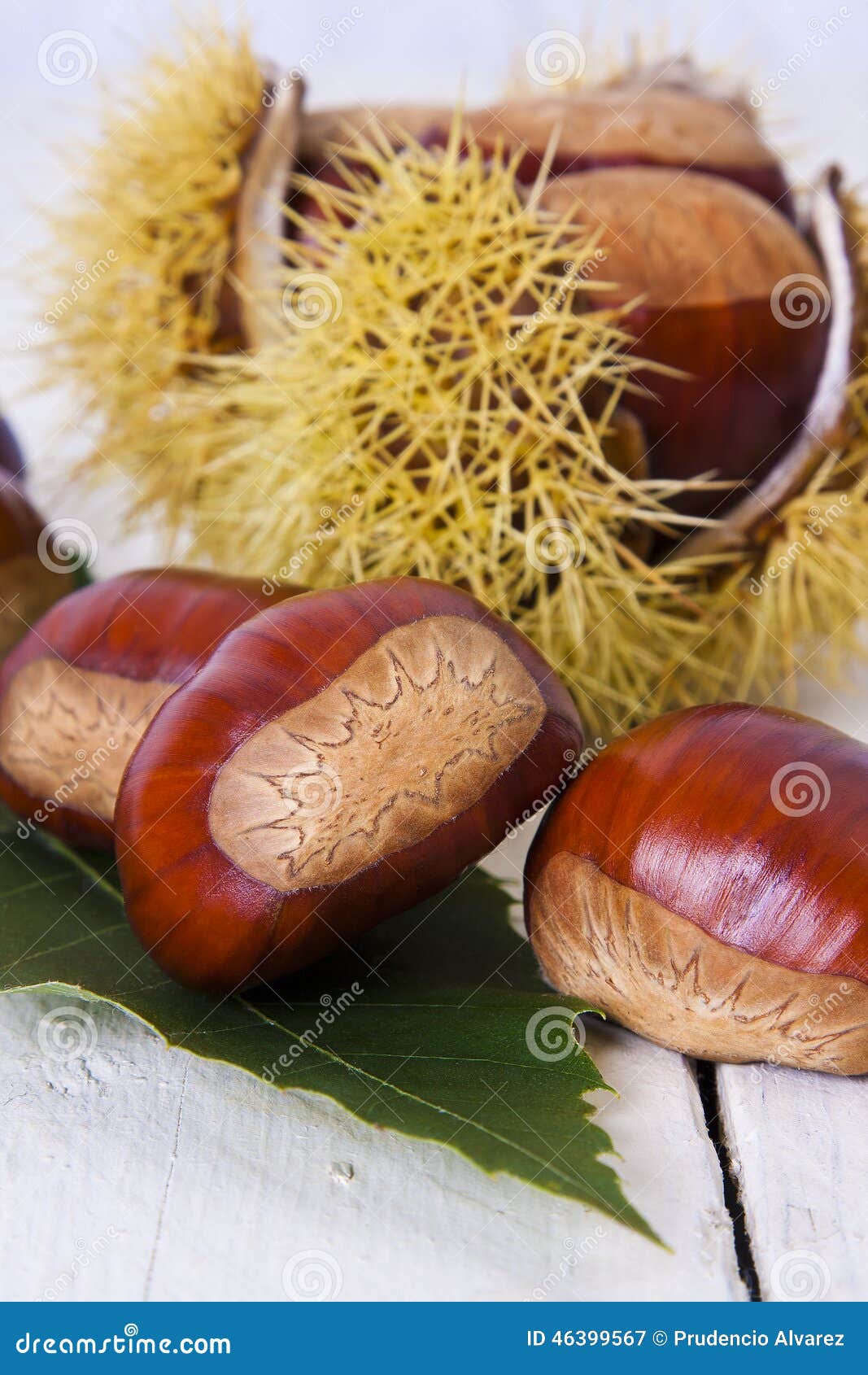 Chestnuts stock image. Image of ingredient, commodity - 46399567