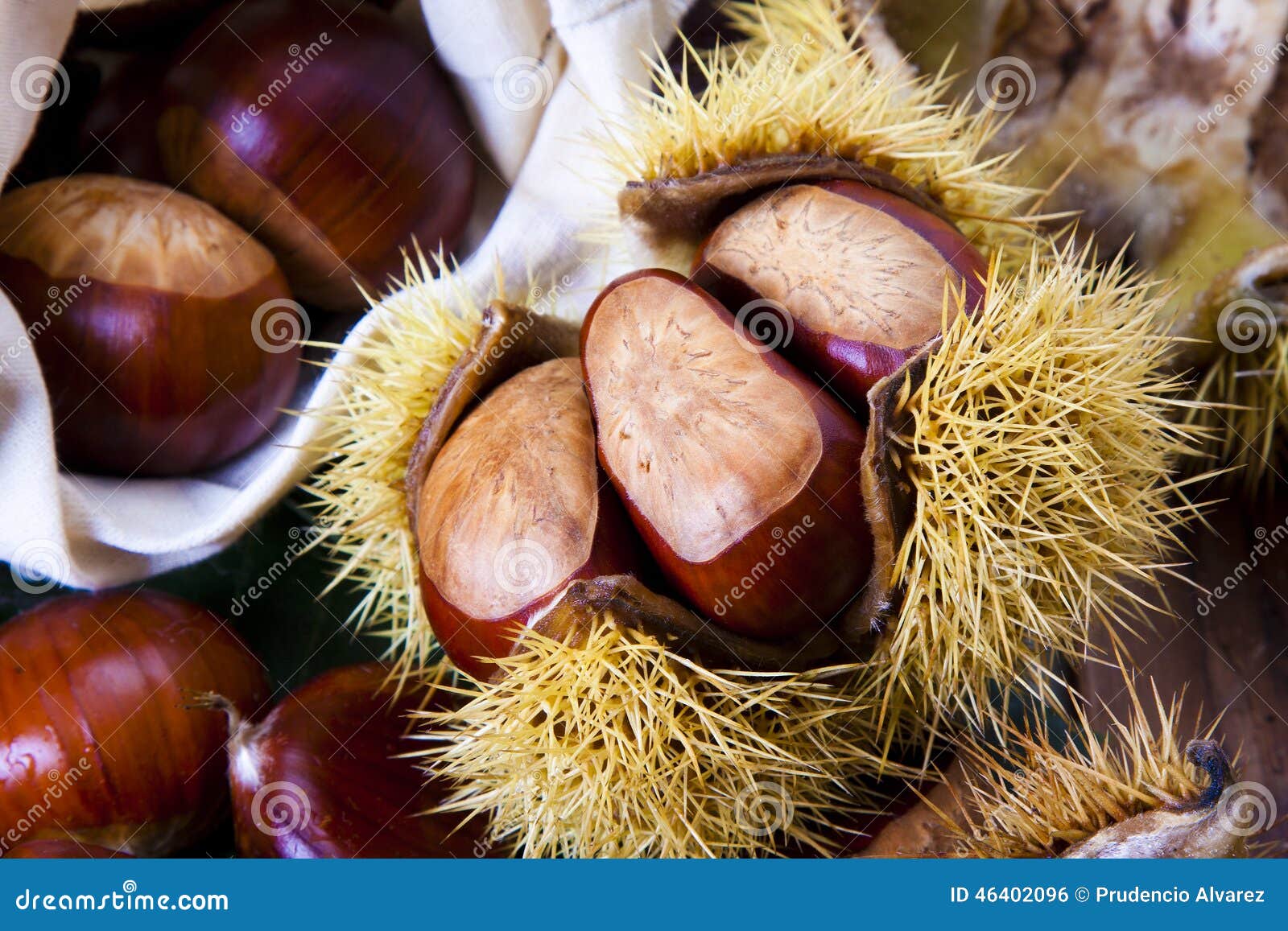 Chestnuts stock photo. Image of wood, nuts, food, nature - 46402096