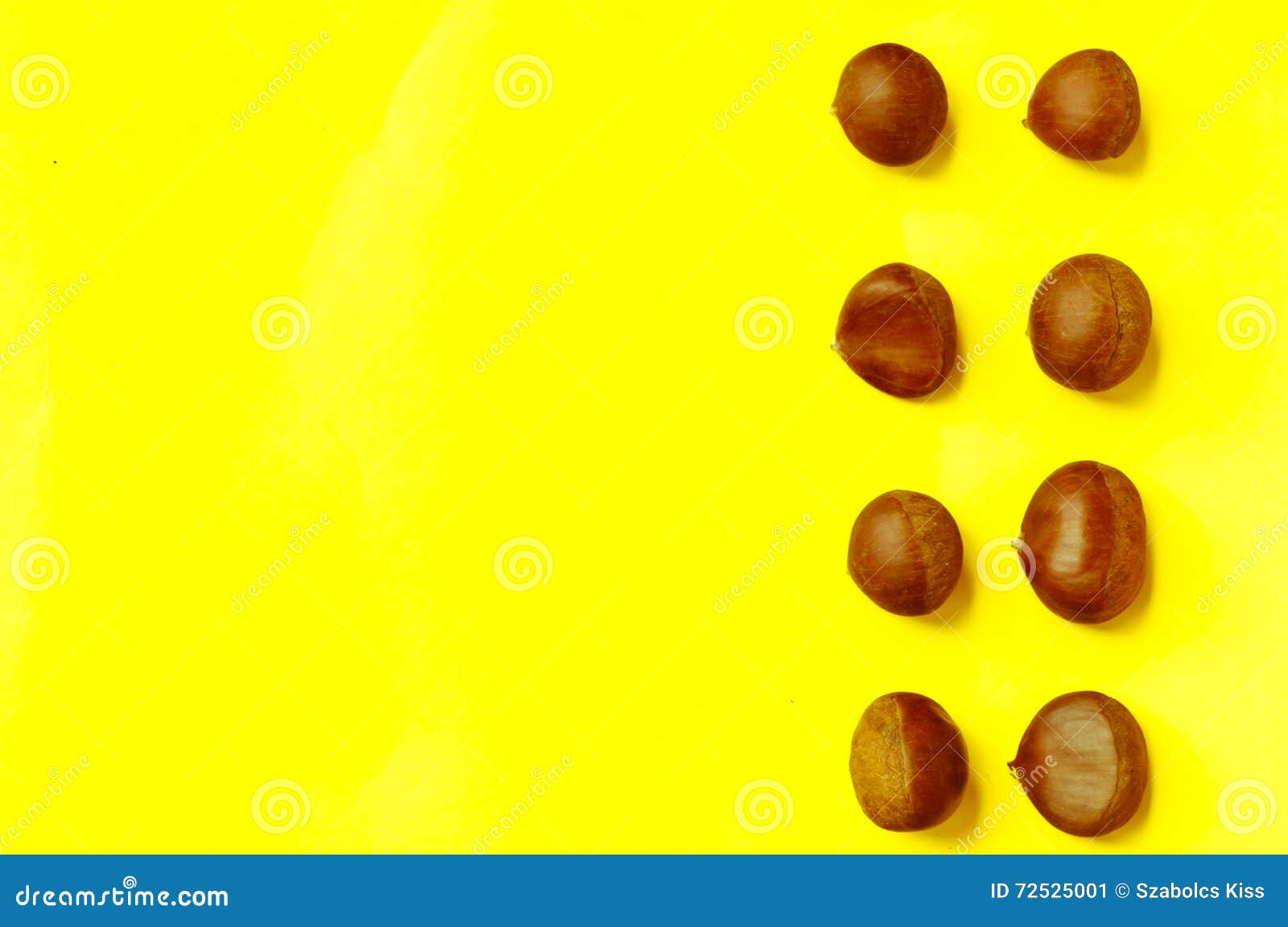 Chestnuts Pattern on Yellow Background Top View Chestnut Stock Image ...