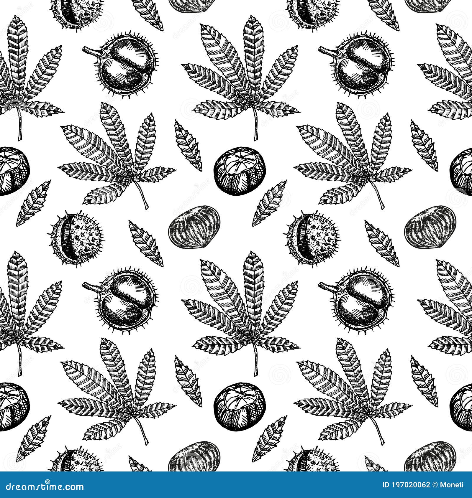 Chestnuts Seamless Pattern. Chestnut Leaves and Fruits Sketch Seamless ...