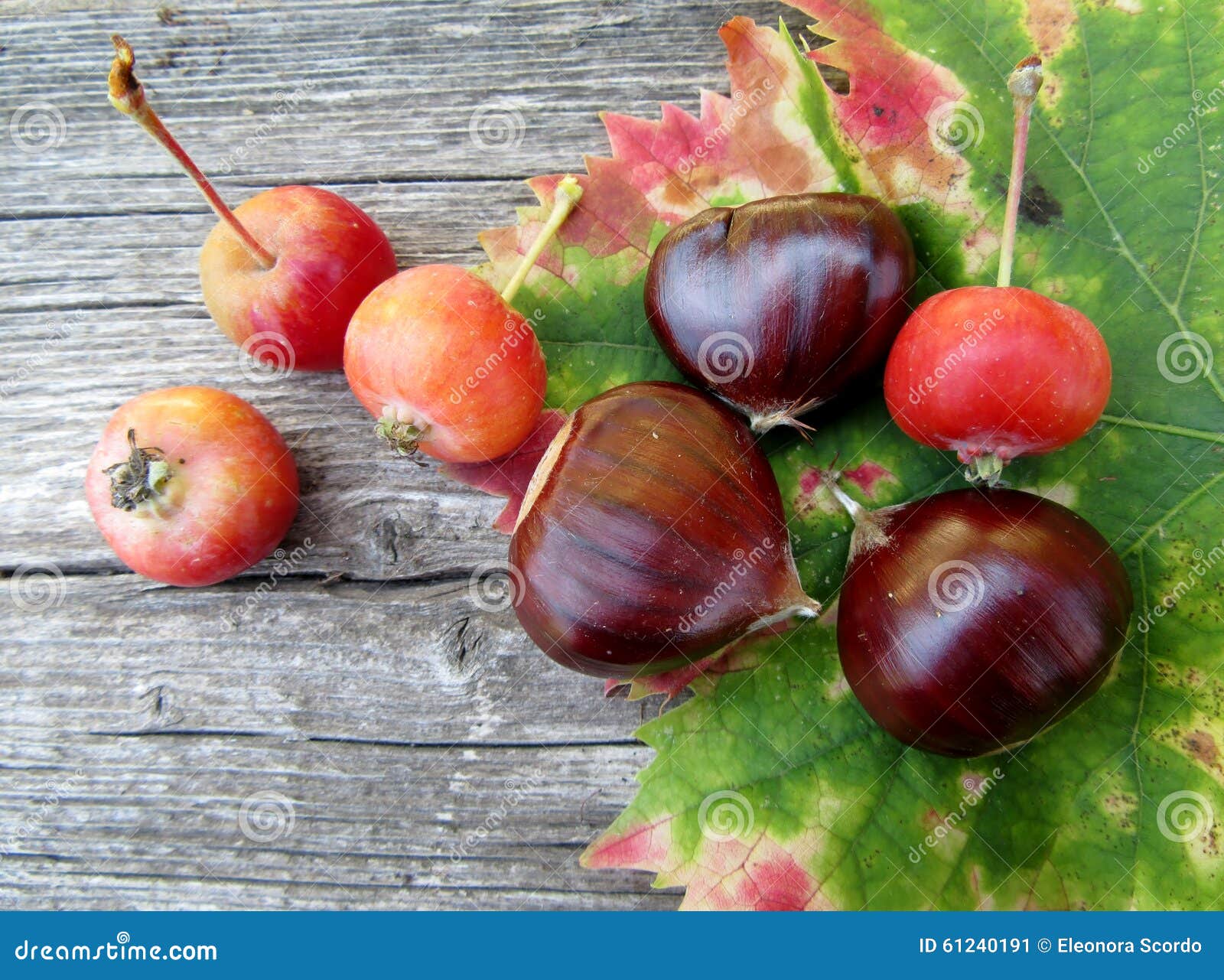 Chestnuts and small apples stock image. Image of food - 61240191