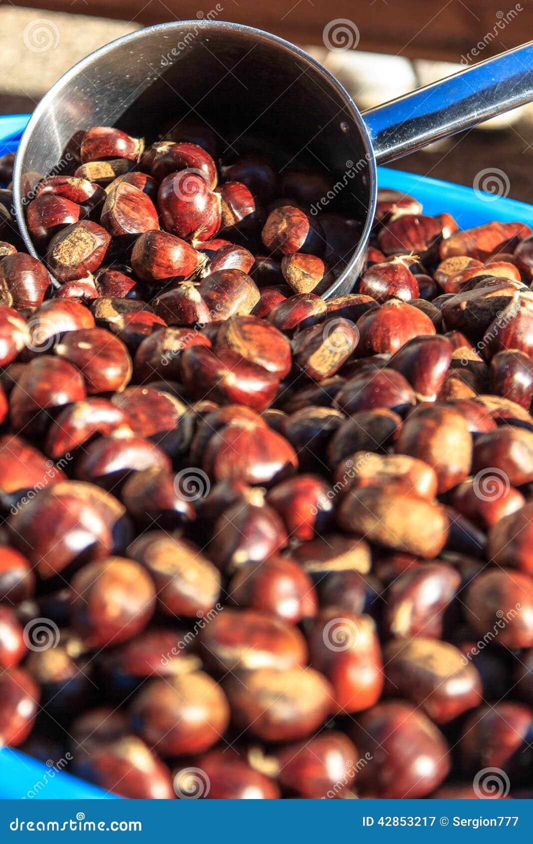 Chestnuts stock image. Image of blue, chestnuts, chestnut - 42853217