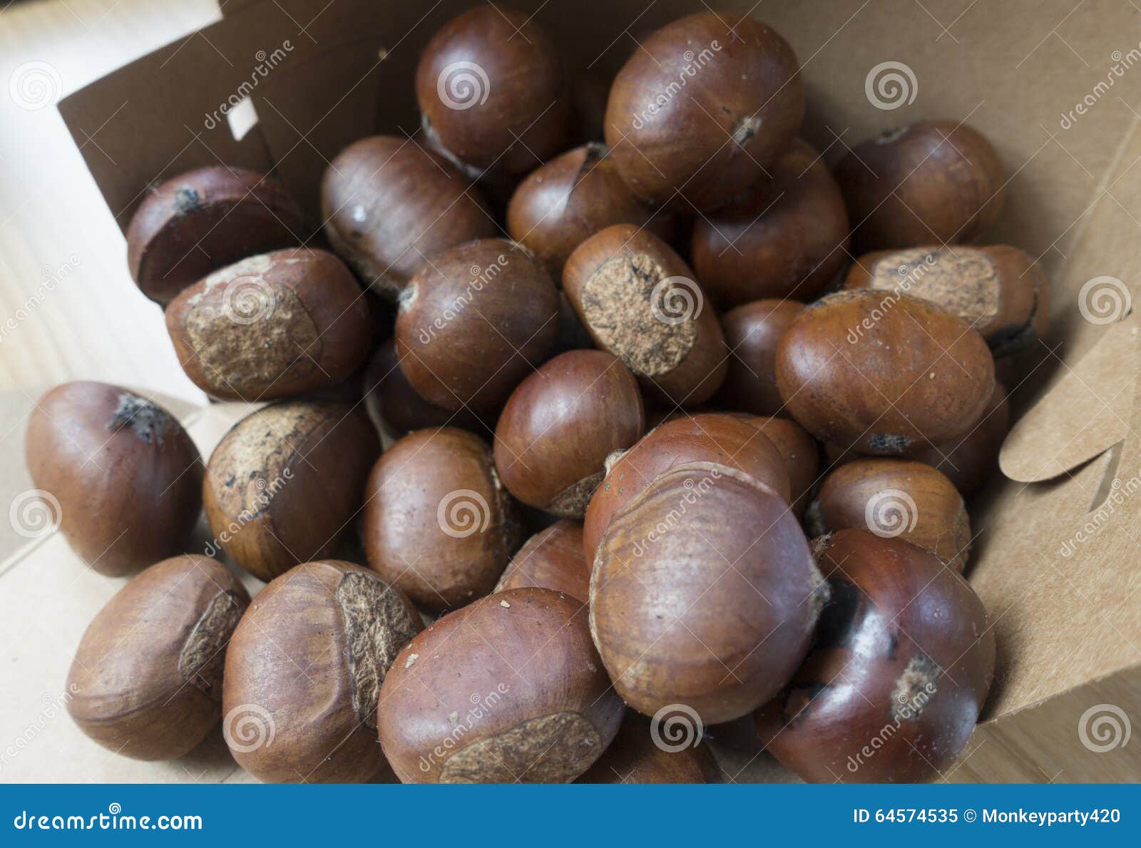 Chestnuts stock image. Image of capsule, backdrop, autumn - 64574535