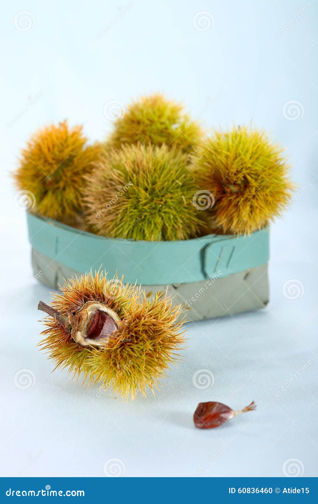 Chestnuts stock photo. Image of diet, edible, brown, green - 60836460