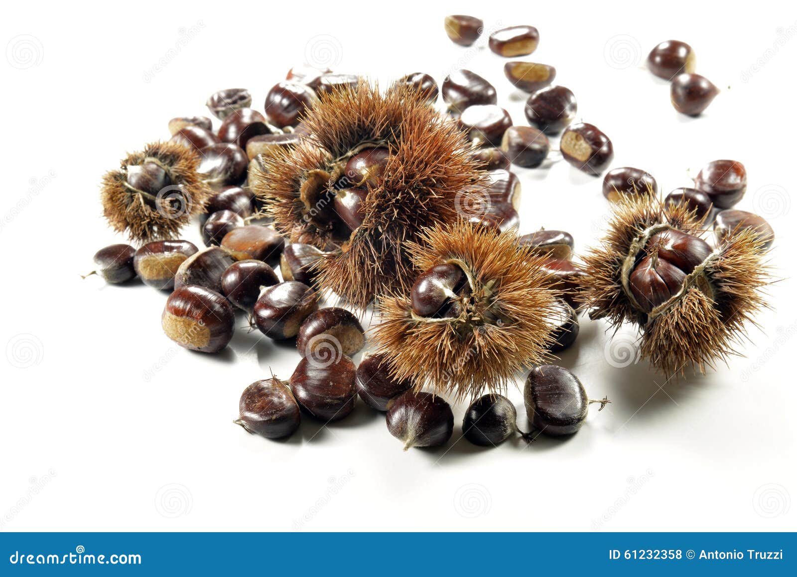 Chestnuts and Urchins on White Plane Stock Photo - Image of fruit ...
