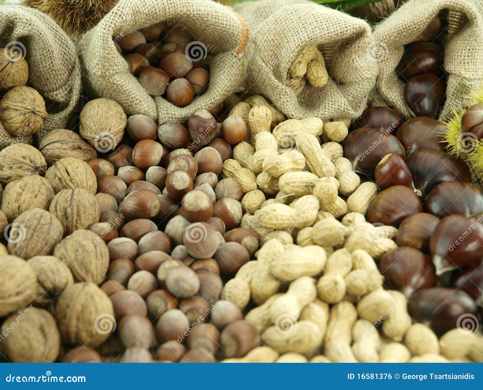 Chestnuts and walnuts stock photo. Image of chestnuts - 16581376