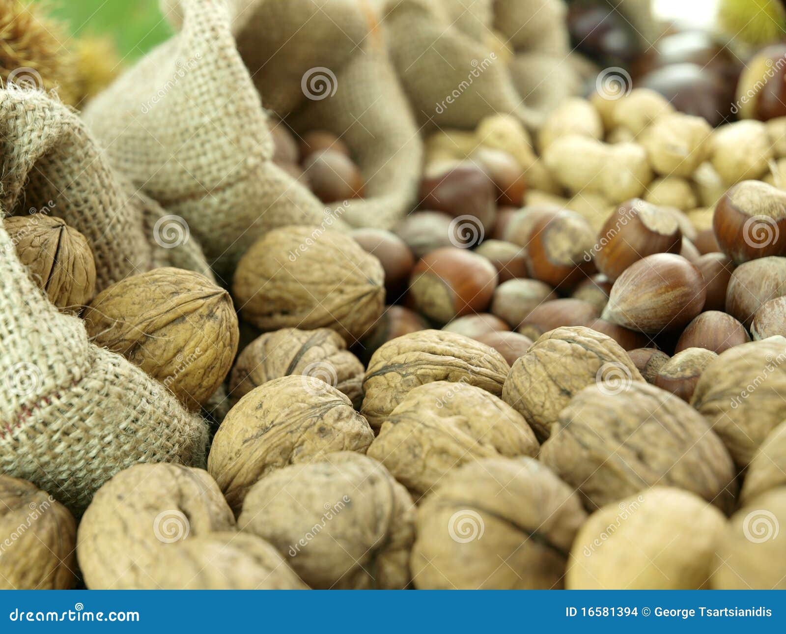 Chestnuts and walnuts stock photo. Image of nuts, walnuts - 16581394