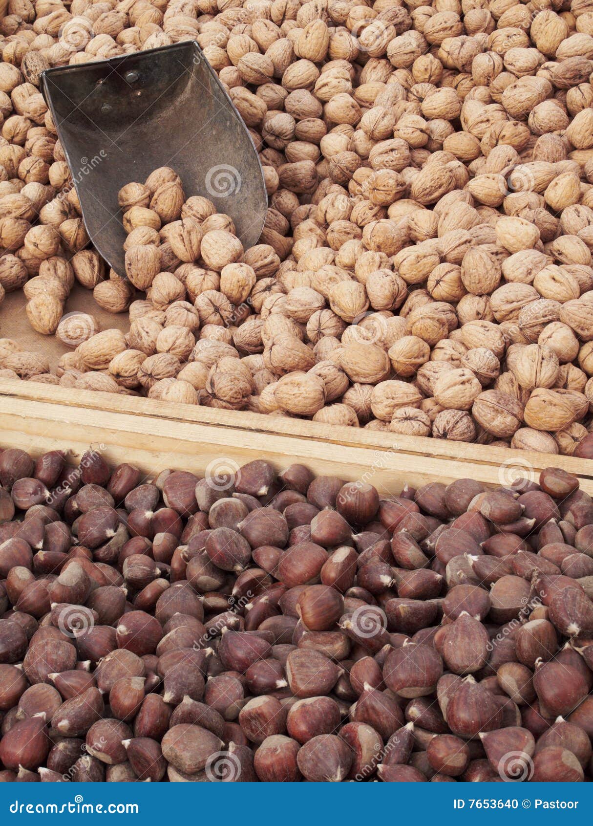Chestnuts and walnuts stock photo. Image of stall, walnut - 7653640