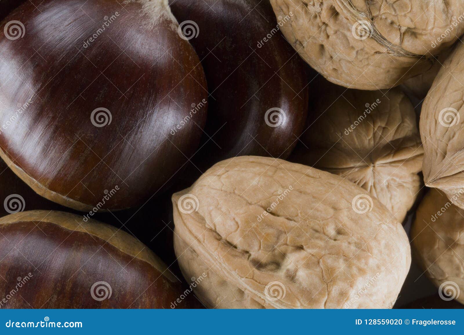 Chestnuts and walnuts stock photo. Image of persia, america - 128559020