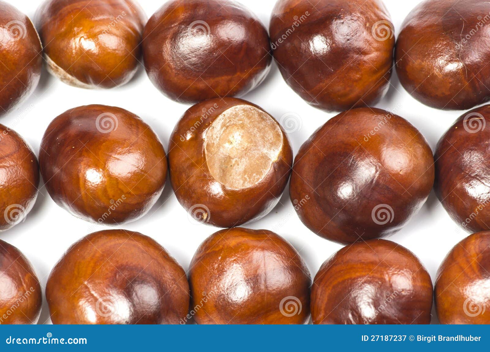 Chestnuts on white stock image. Image of autumn, polish - 27187237