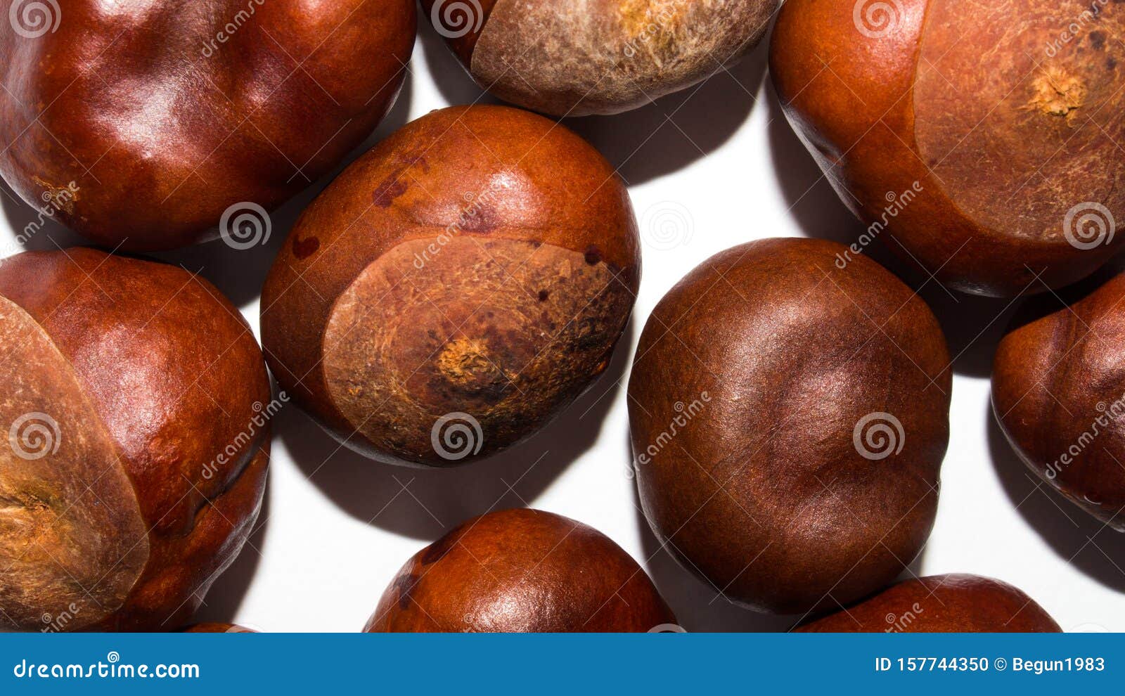 Chestnuts on White Background. Stock Photo - Image of sweet, macro ...