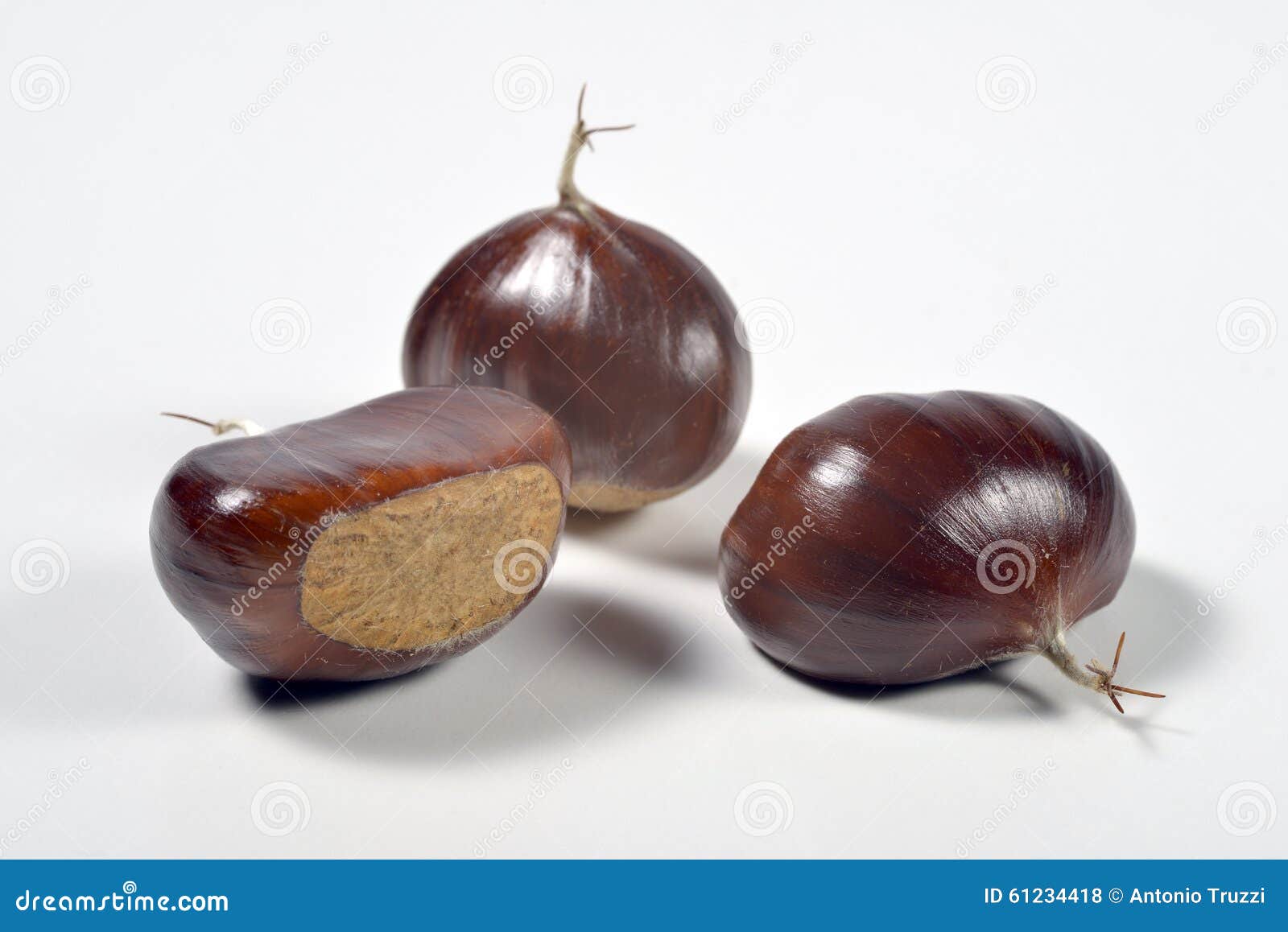 Chestnuts on white plane stock photo. Image of macro - 61234418