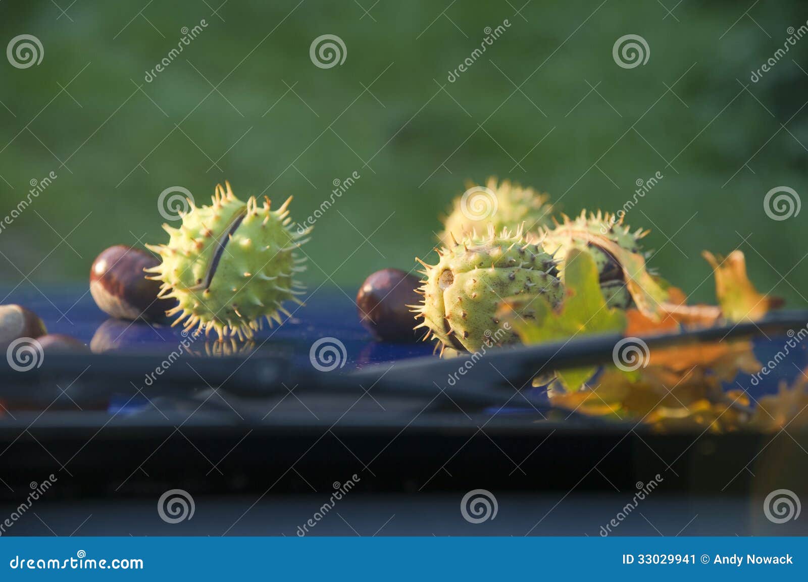 Nartur Stock Photos - Free & Royalty-Free Stock Photos from Dreamstime