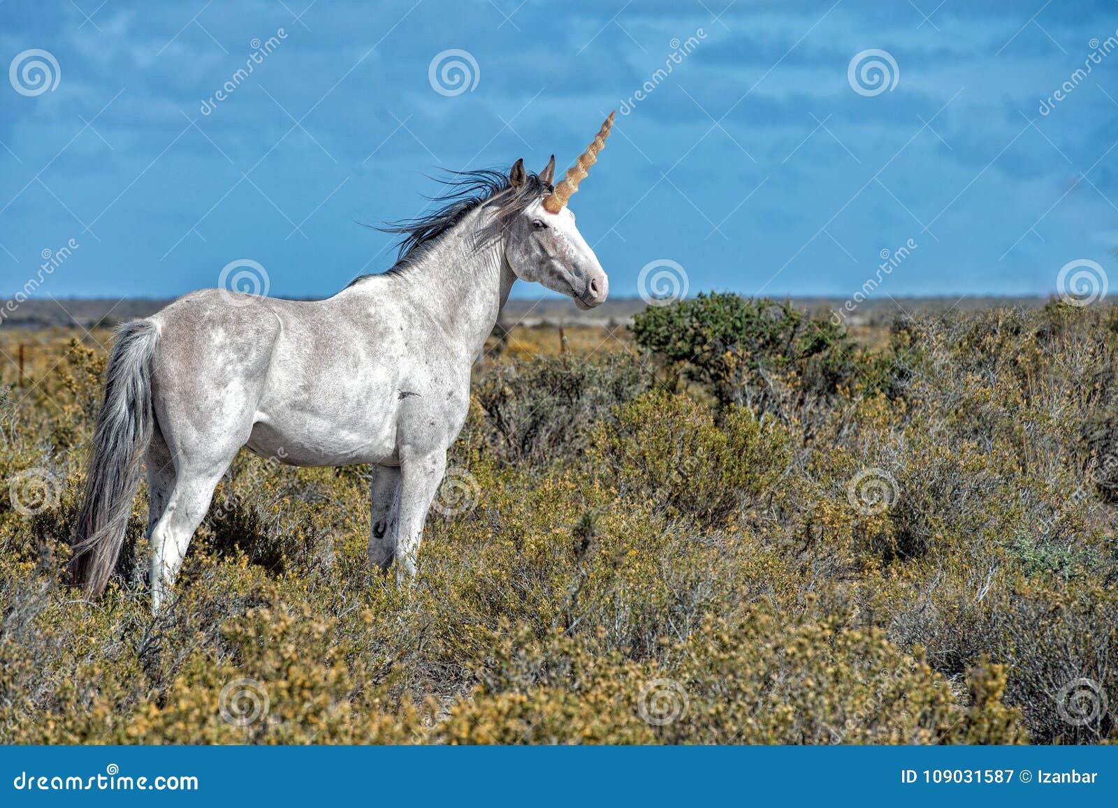 Cheval blanc de licorne image stock. Image du illustration - 109031587