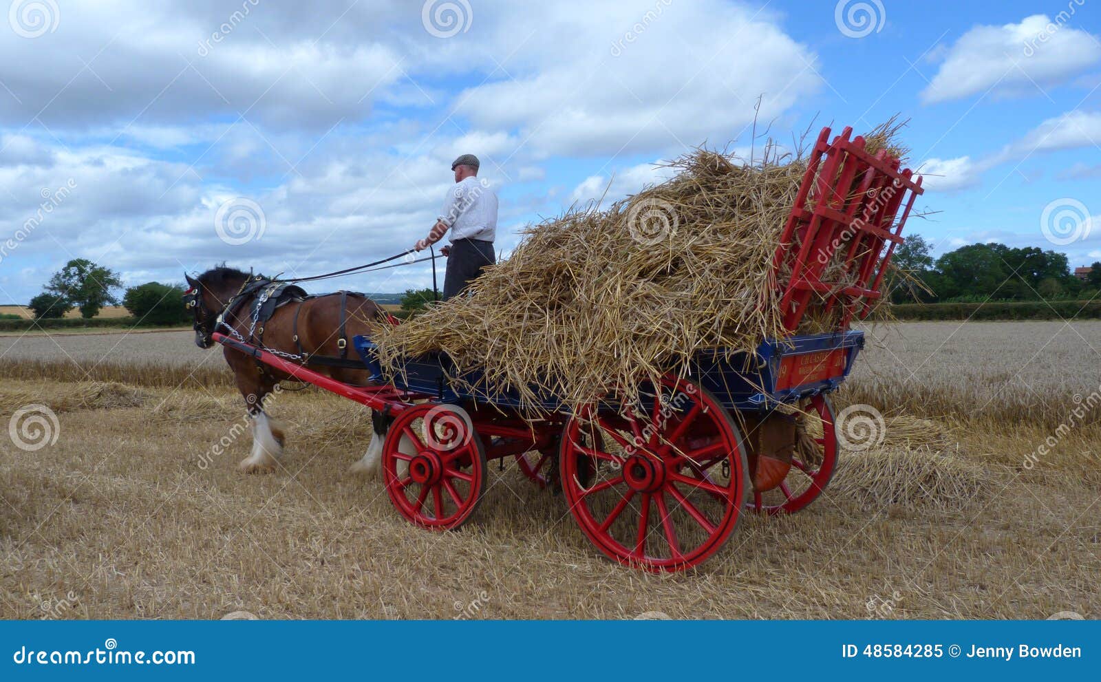 Cheval De Shire Avec Un Chariot De Paille Image stock - Image du avec ...