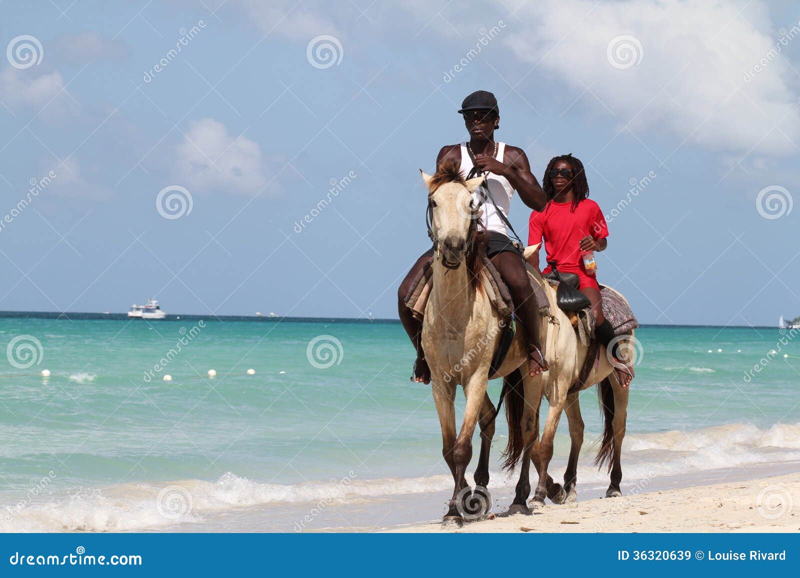 Cheval De Tour Sur La Plage Image stock éditorial - Image du tropical ...