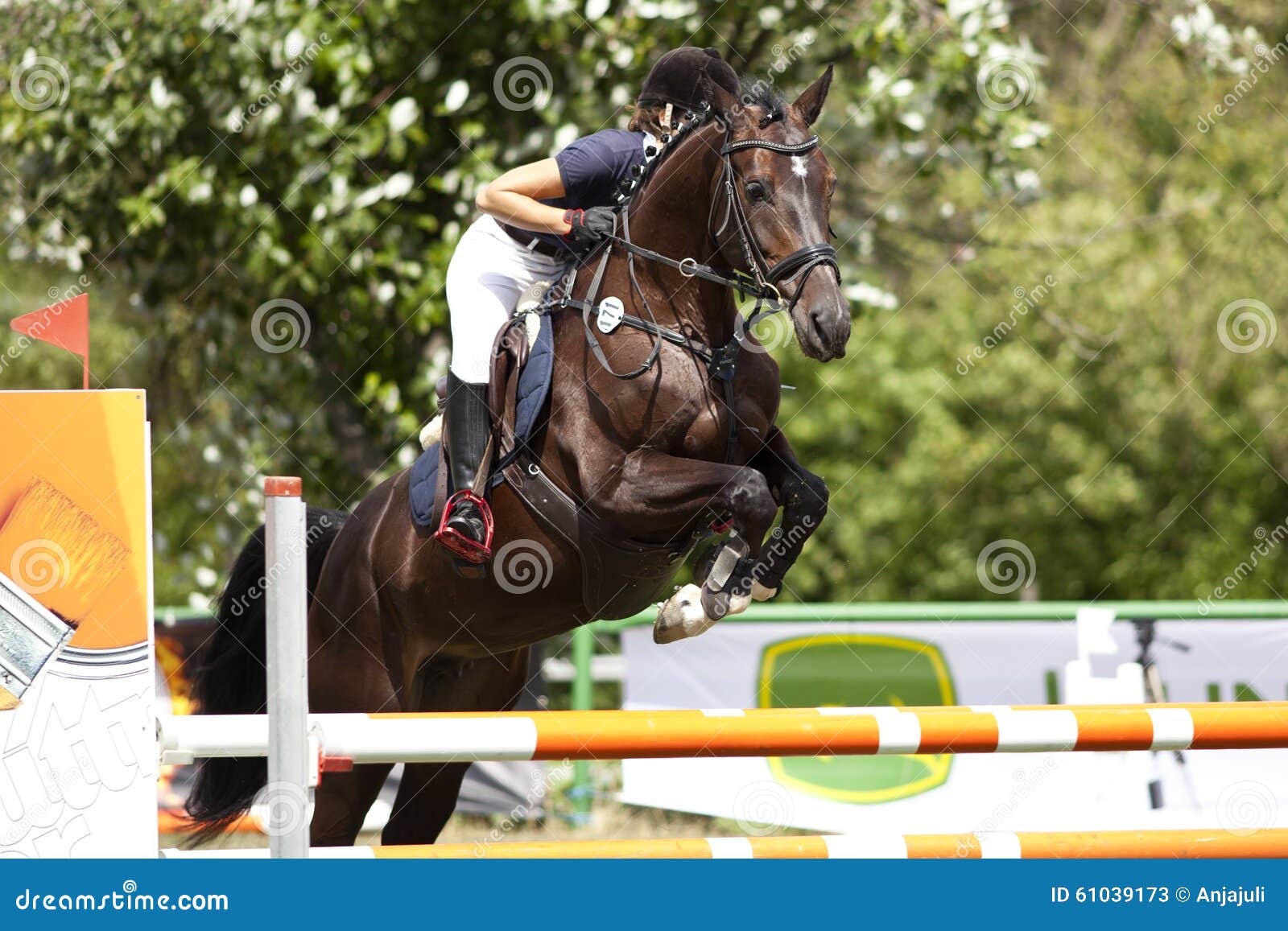 152 Photos de Cheval Et Cavalier Dans Le Cours De Saut - Photos de ...