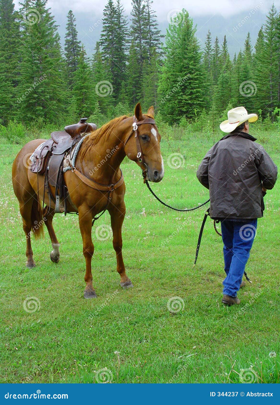 Cheval et cowboy image stock. Image du calgary, intervalle - 344237