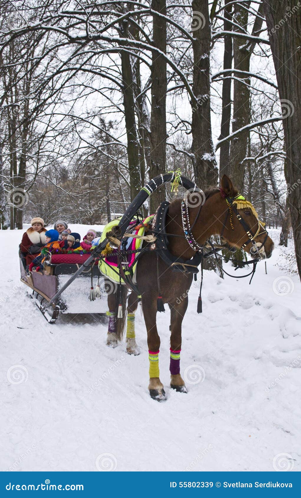 Cheval Sleigh En Parc D'hiver Image stock éditorial - Image du enfants ...