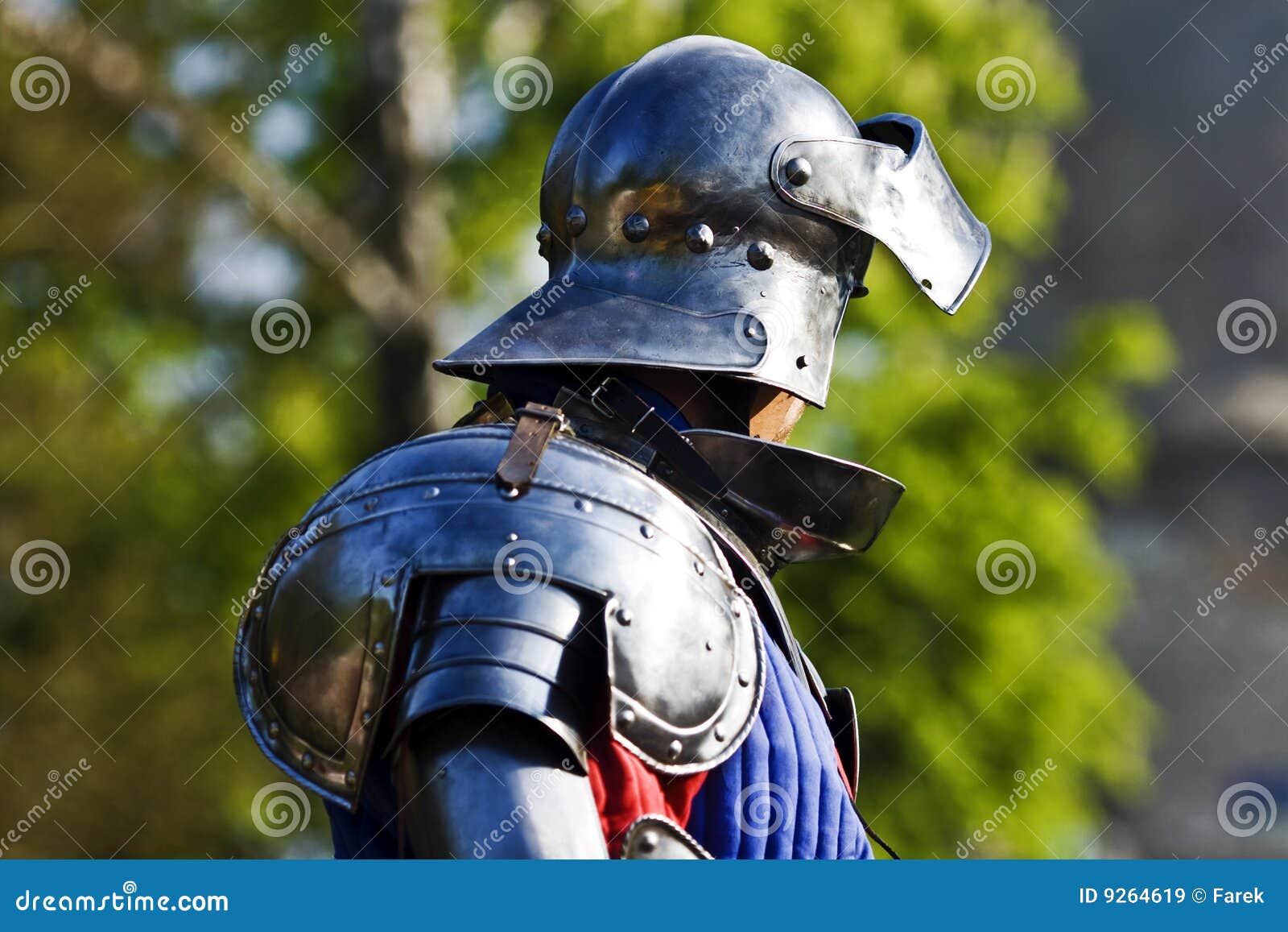 Chevalier de profil image stock. Image du protection, médiéval - 9264619