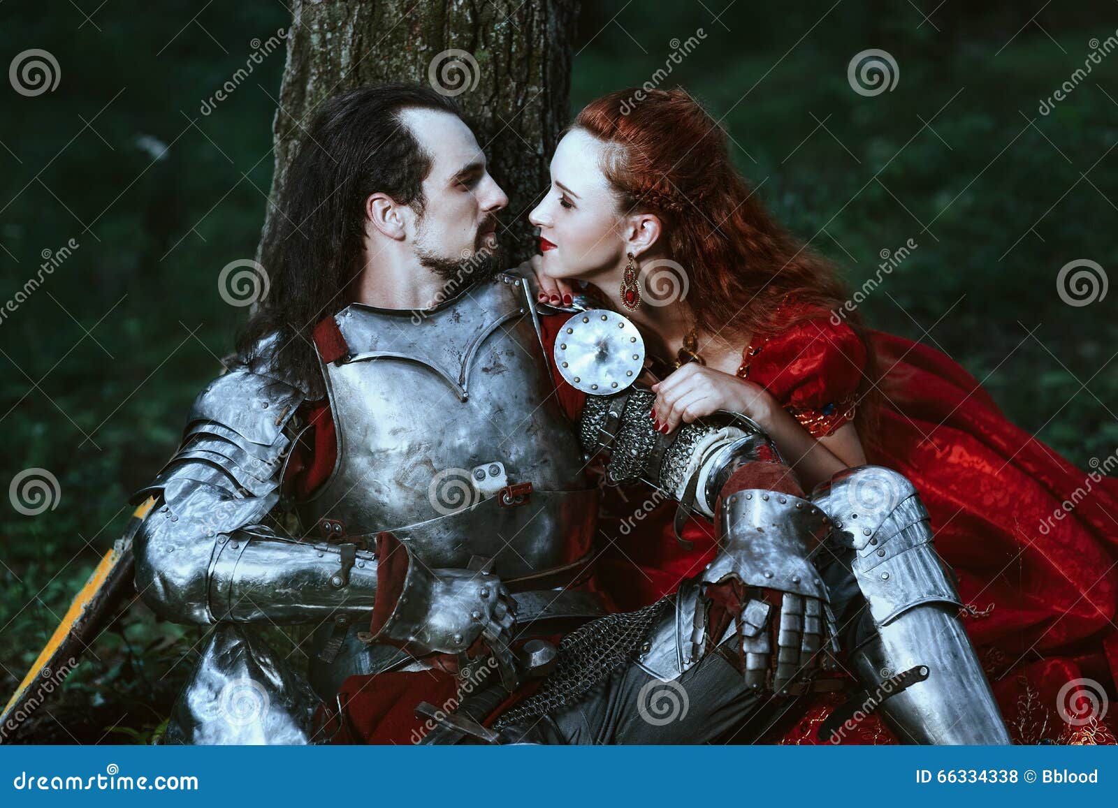 Chevalier Médiéval Avec La Dame Photo stock - Image du adulte, cheveu ...