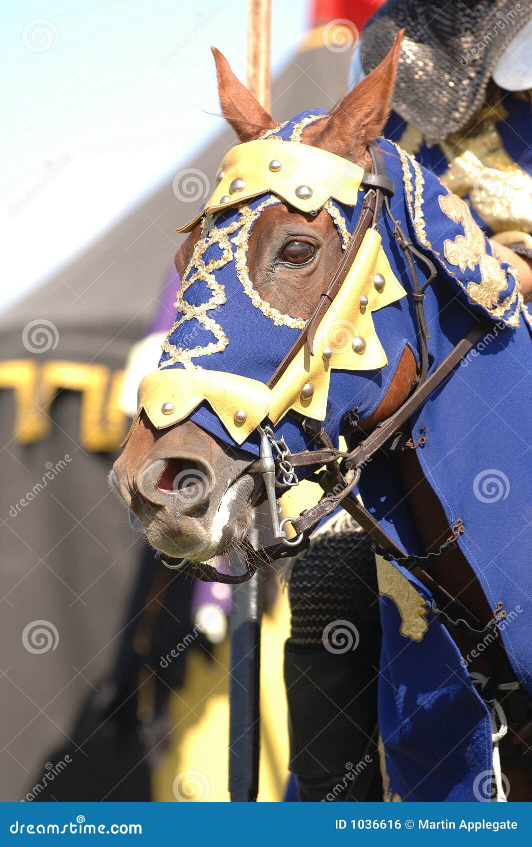 Chevalier sur le cheval 2 photo stock. Image du période - 1036616