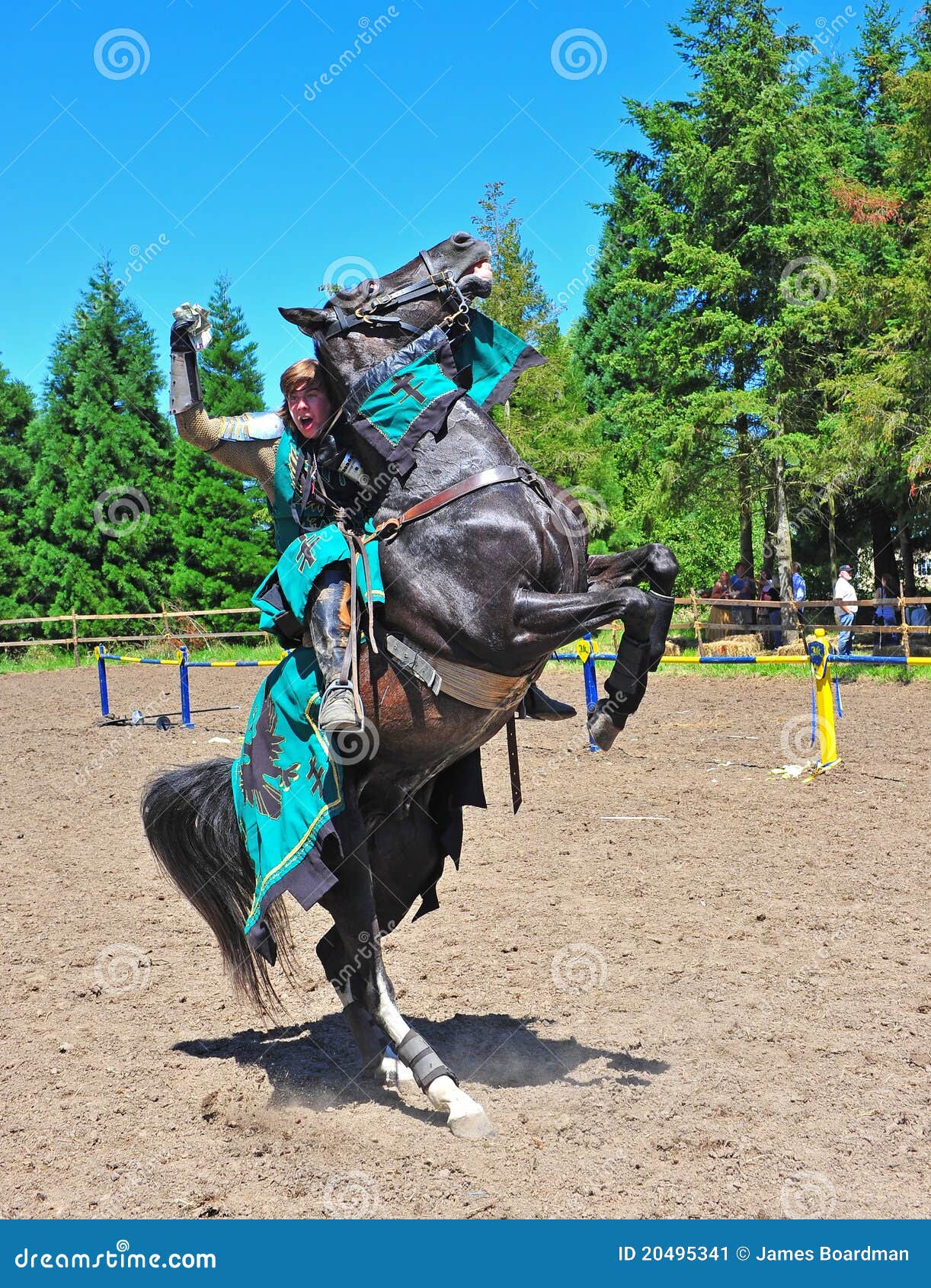 Chevalier vert victorieux photo éditorial. Image du spectacle - 20495341