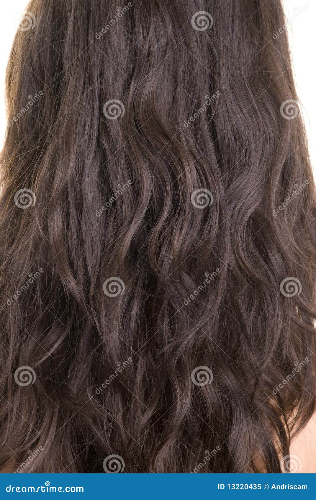 Cheveu image stock. Image du beauté, jeune, modèle, coiffure - 13220435