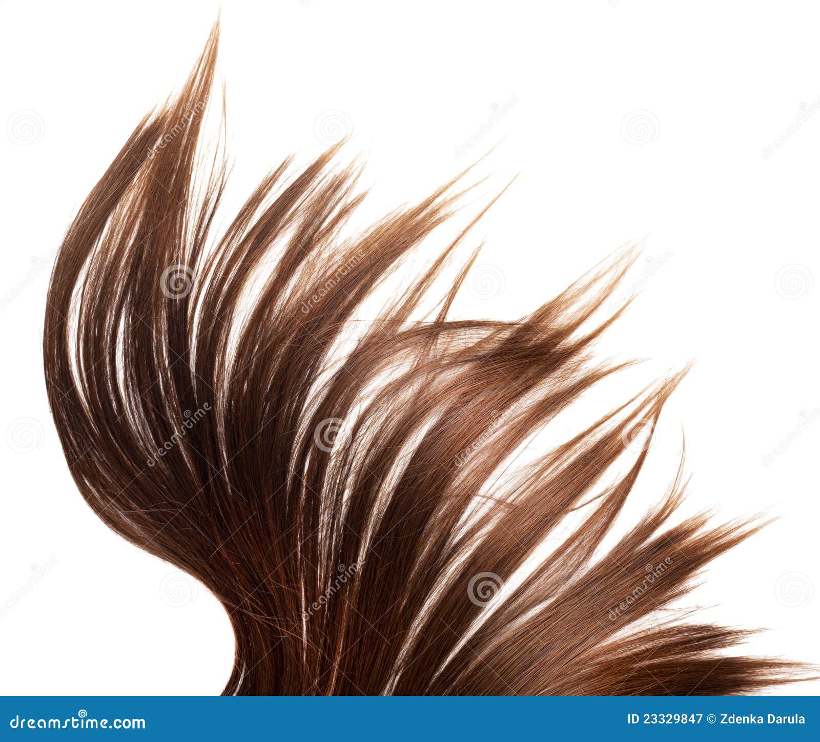 Cheveu sain image stock. Image du enroulement, détail - 23329847