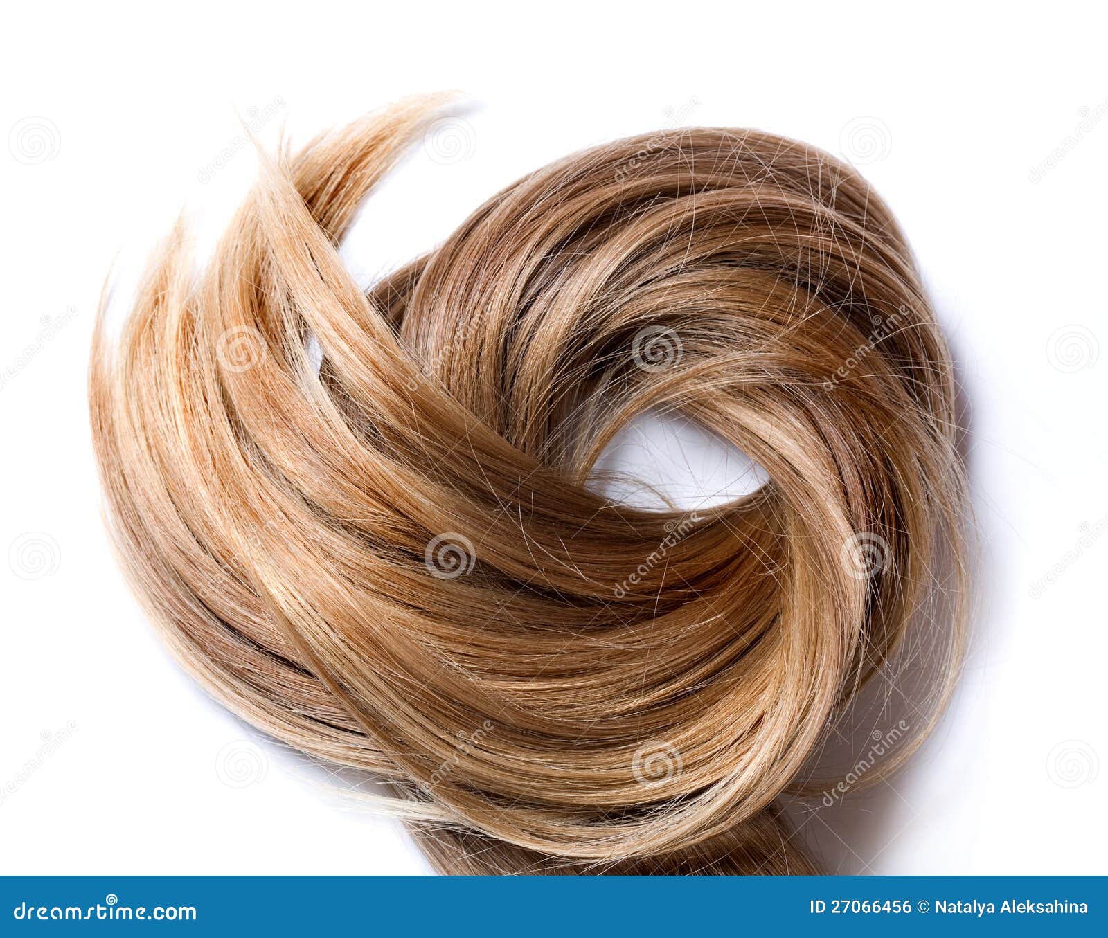 Cheveux humains normaux photo stock. Image du propre - 27066456