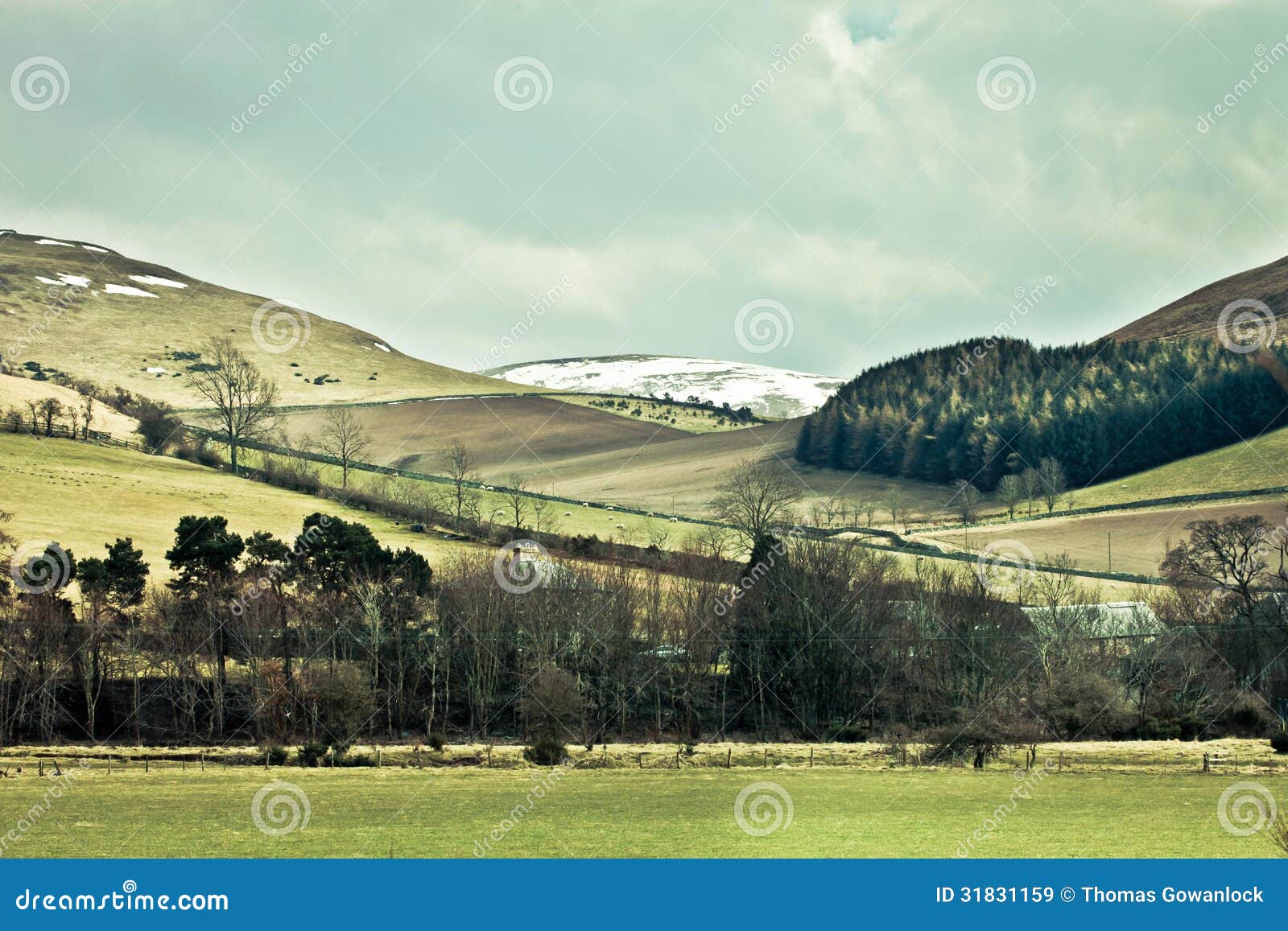 Cheviot Hills stock image. Image of meadow, clouds, mountains - 31831159