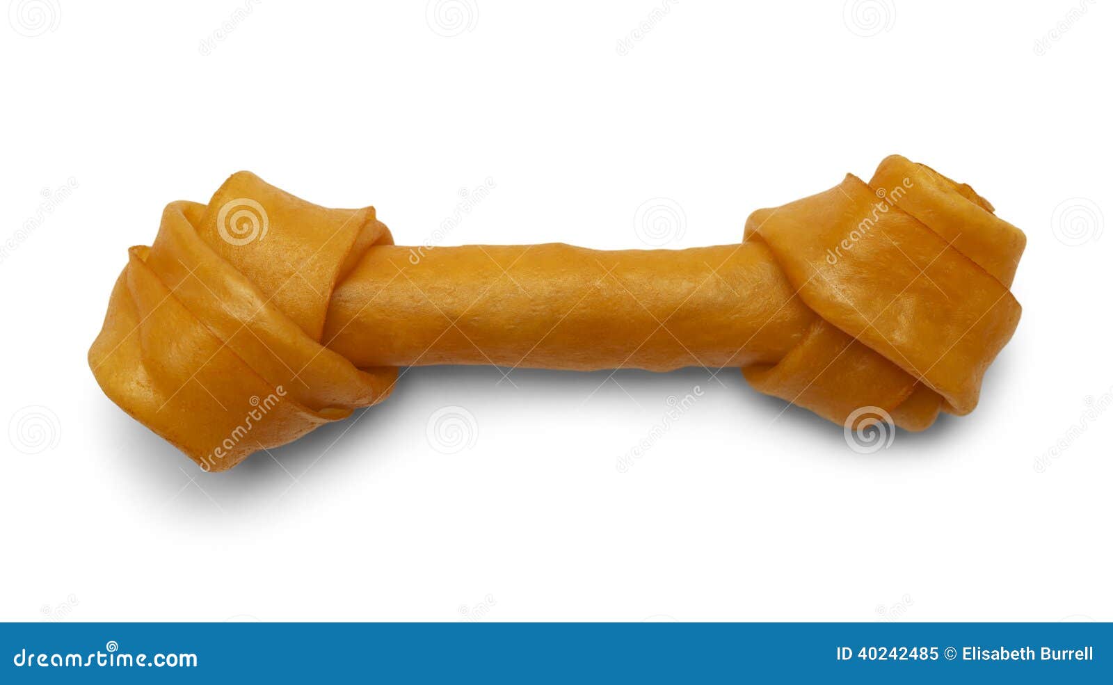 Chew Bone stock image. Image of studio, indulgence, animals - 40242485