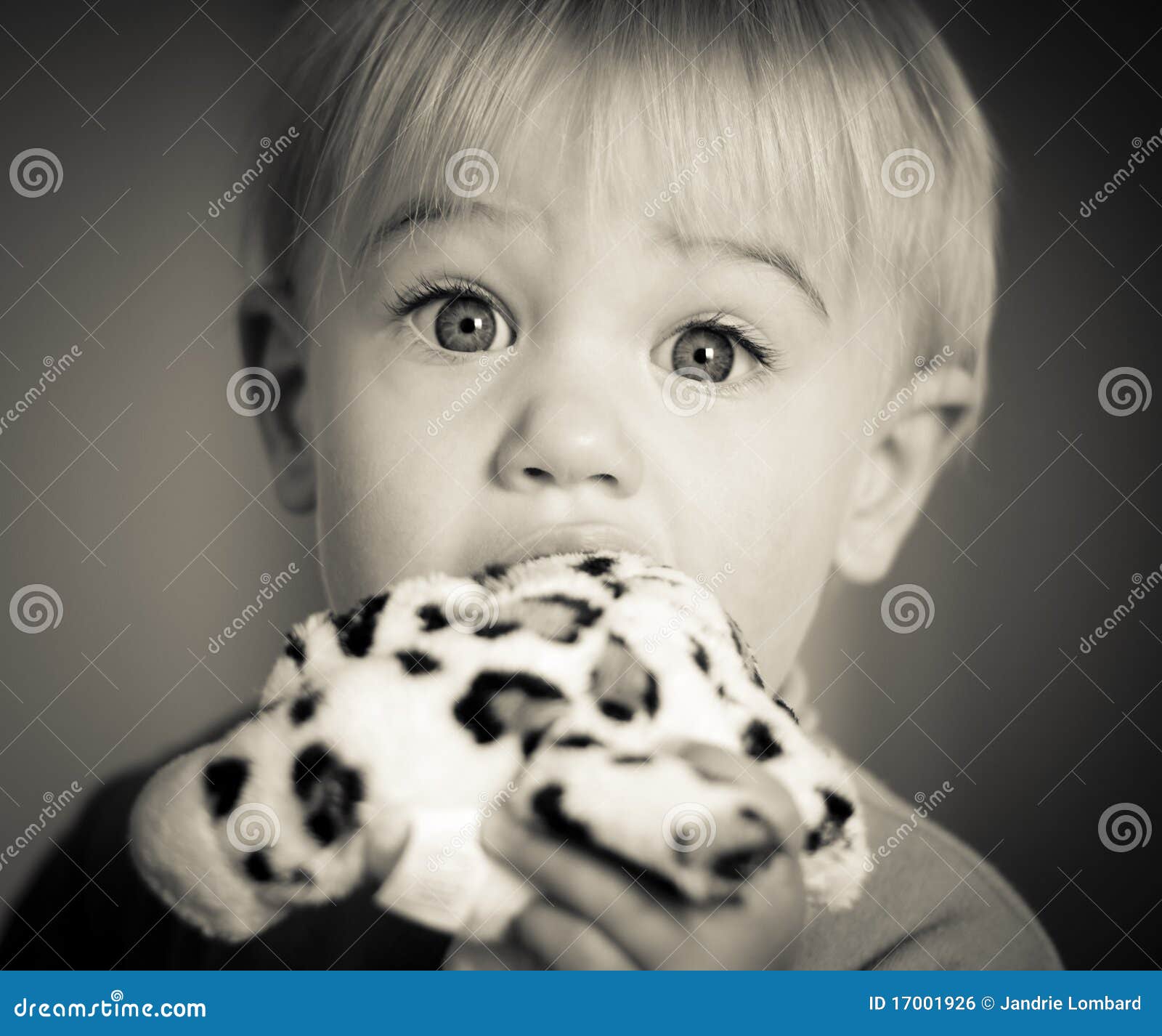 Chewing stock photo. Image of small, toddler, expression - 17001926