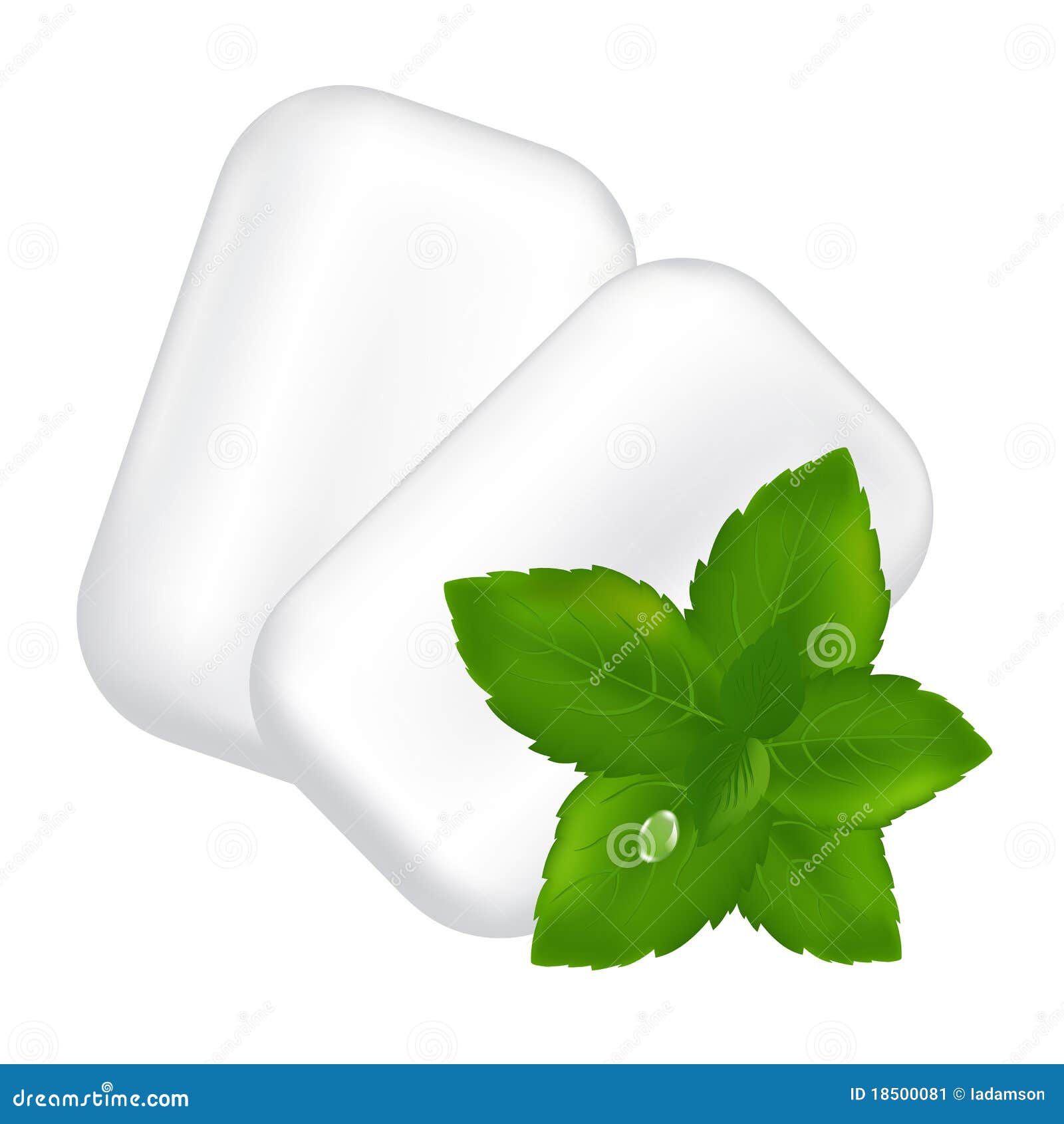 Chewing Gum and Fresh Mint Leaves Stock Vector - Illustration of fresh ...