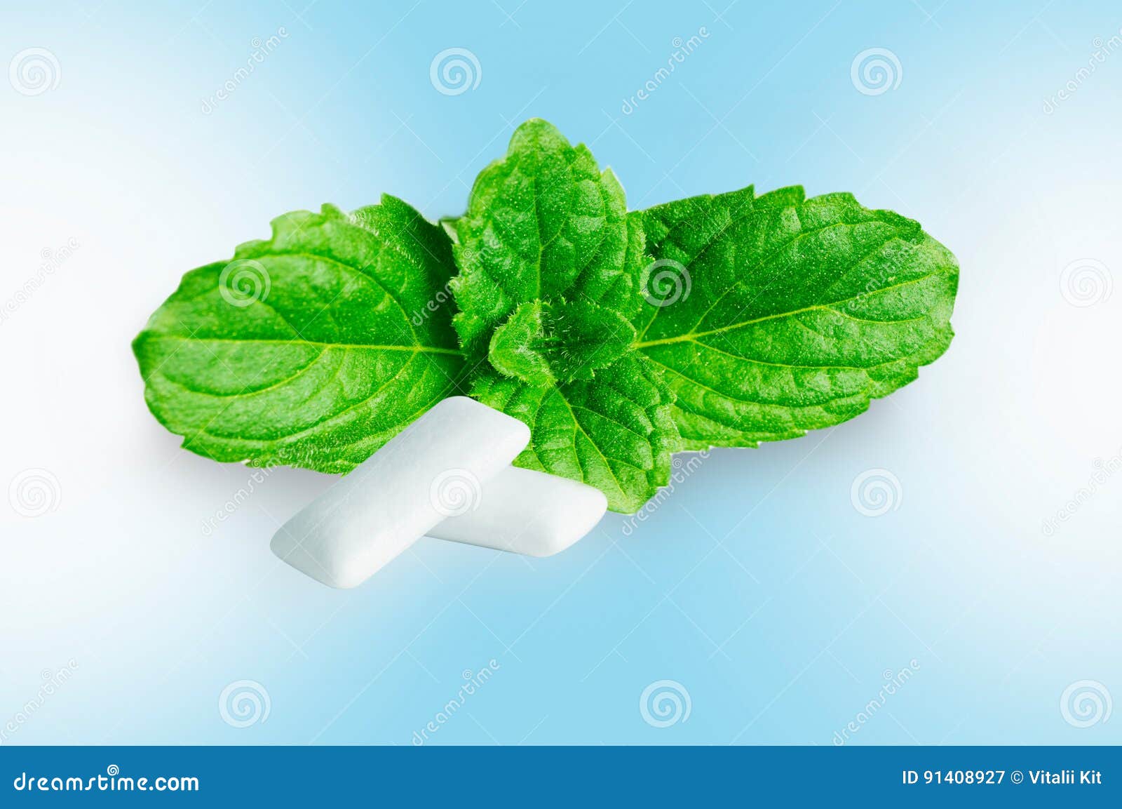 Chewing Gum with Fresh Mint Leaves Stock Image - Image of herb, closeup ...