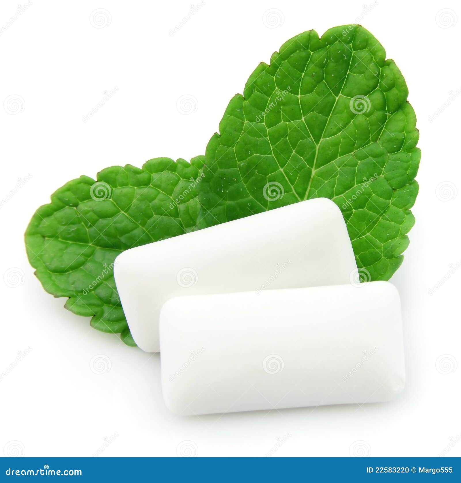 Chewing gum menthol stock photo. Image of closeup, herb - 22583220