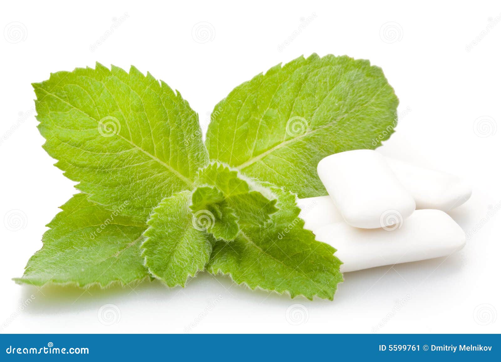 Chewing gum and mint stock image. Image of breath, aromatic - 5599761